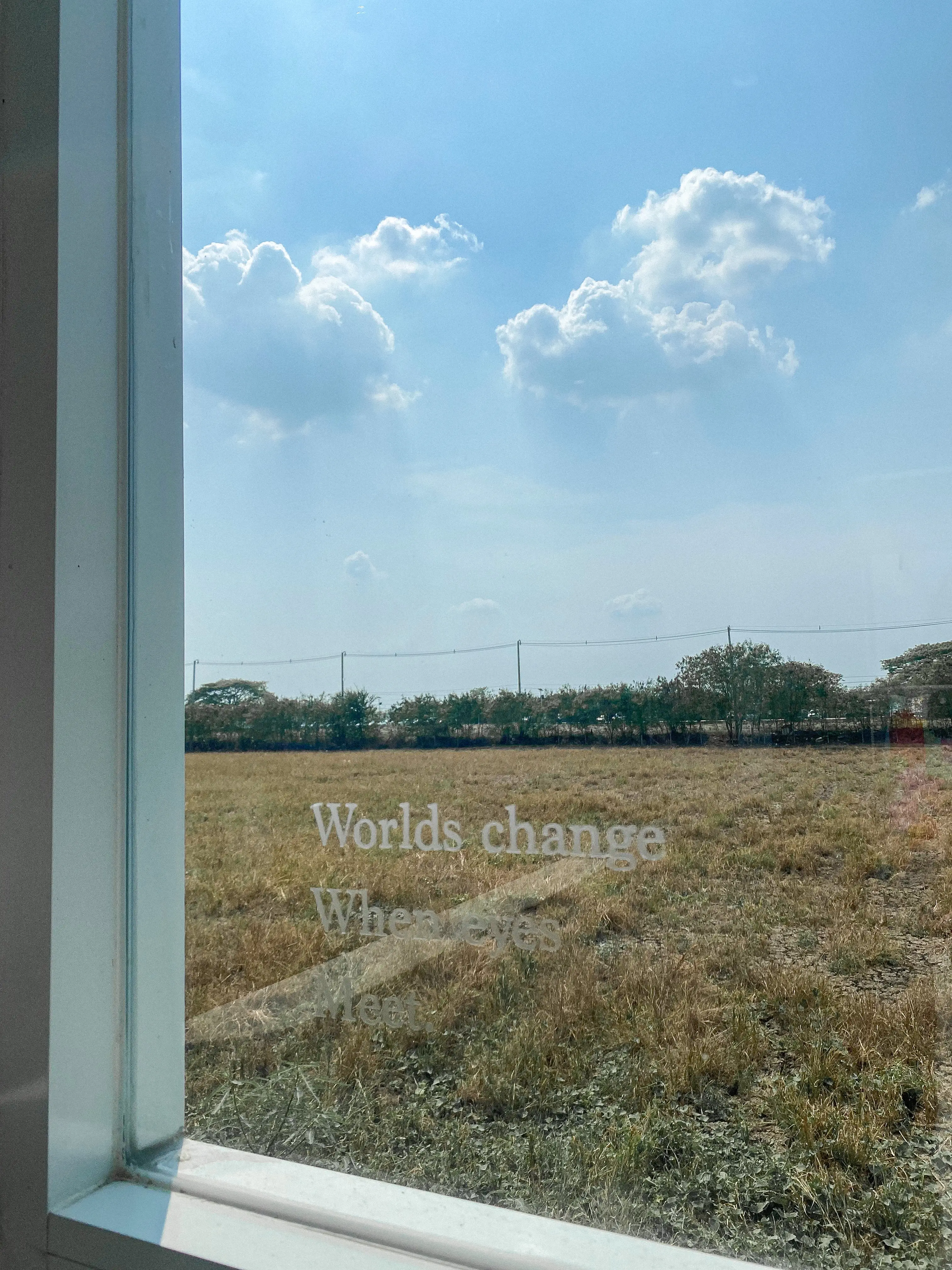 Moo Yoo cafe at Nakhon Pathom | แกลเลอรีที่โพสต์โดย nammonroe | Lemon8