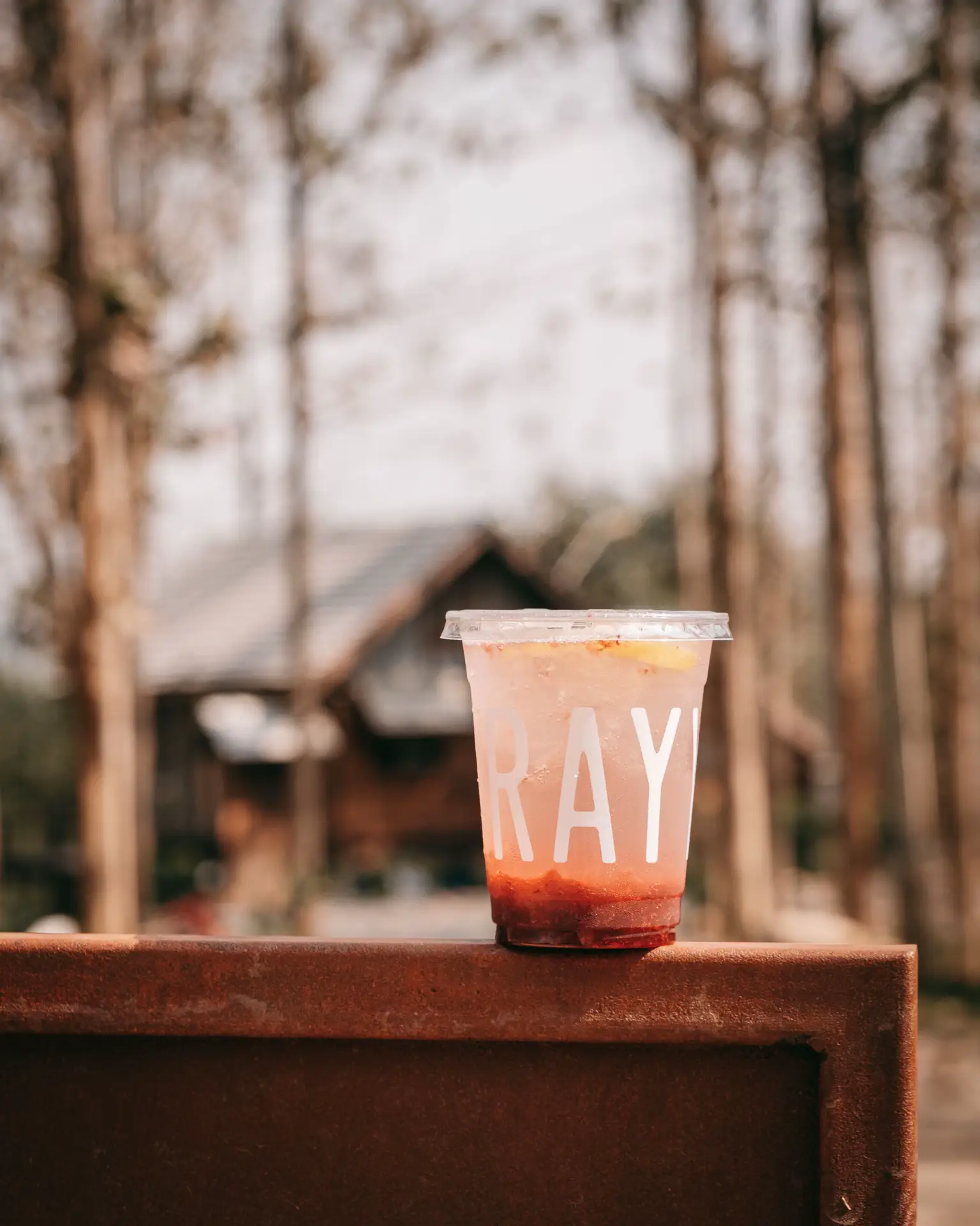 RAYY คาเฟ่สวยในไร่องุ่น Vin de ray เปิดใหม่มวกเหล็ก สระบุรี | แกลเลอรี ...