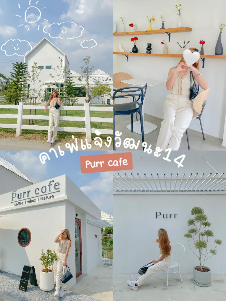 Purr cafe.BKK แจ้งวัฒนะ14 คาเฟ่เปิดใหม่ฟิวส์เขาใหญ่ 🤍☁️ | แกลเลอรีที่ ...