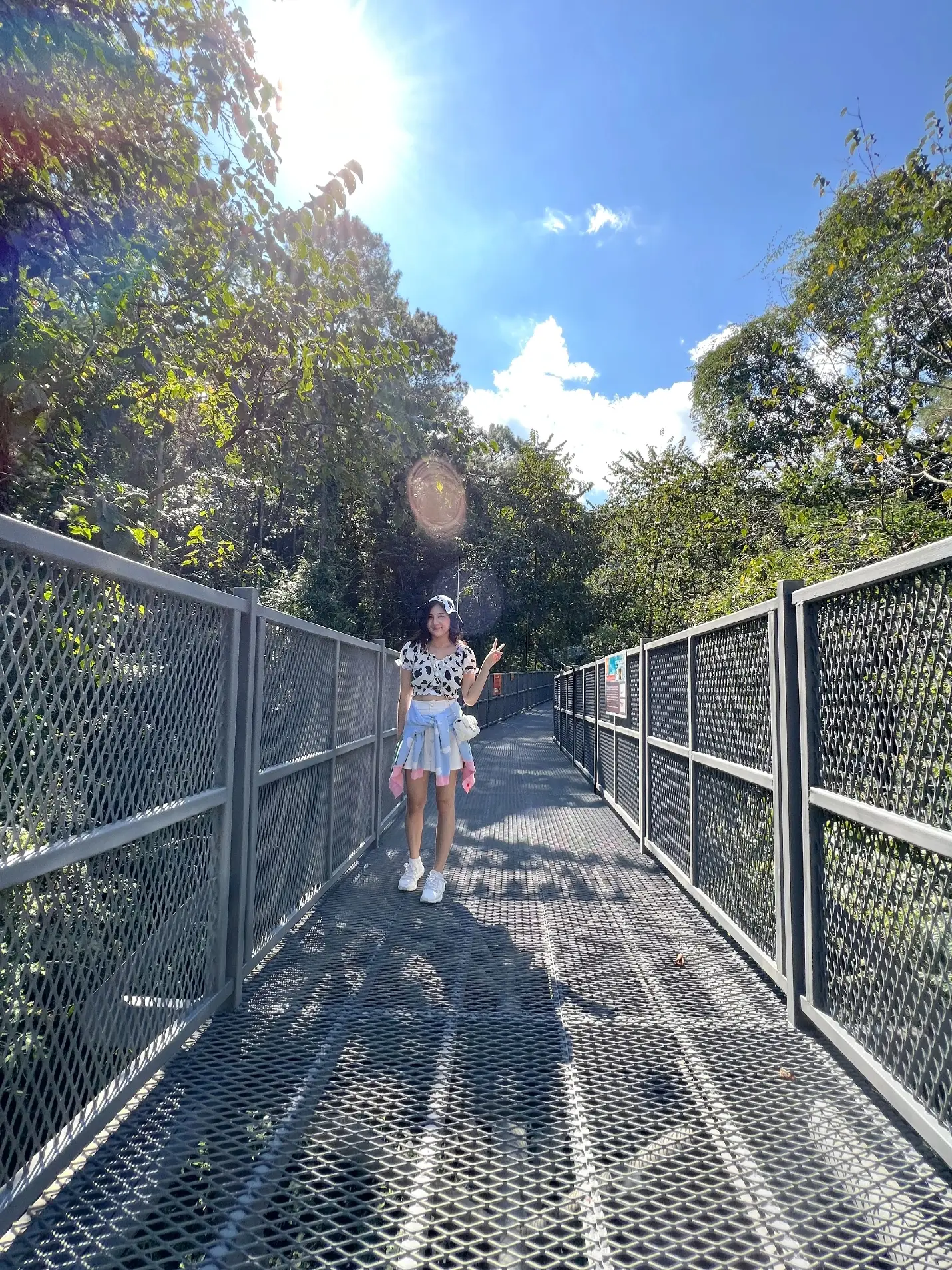 ไปเดินเล่นบนทางเดินลอยฟ้า Canopy walkway | แกลเลอรีที่โพสต์โดย Bdyz ...