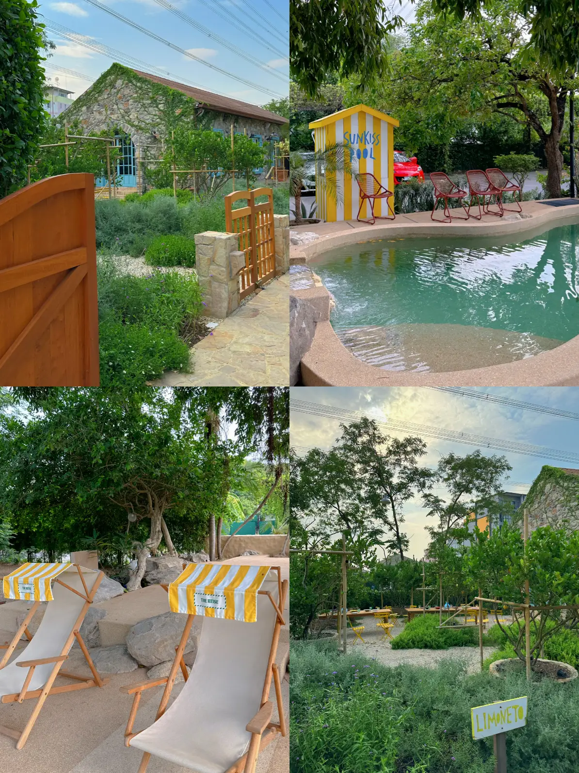 the reise ประชาชื่น thoeythoey - การค้นหาใน Lemon8