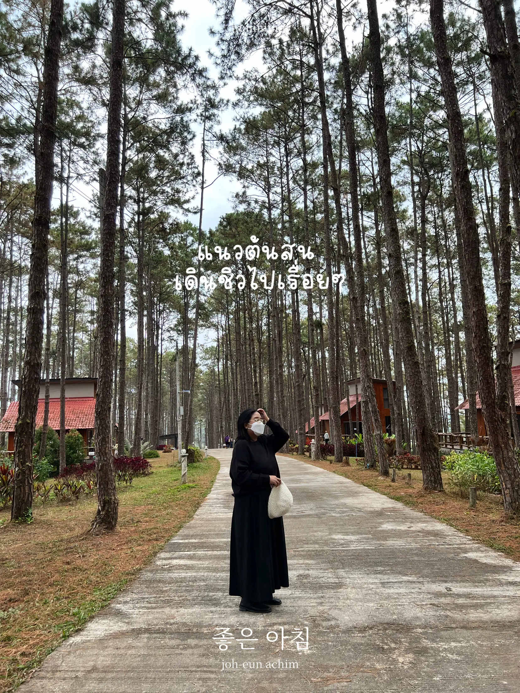 doi bo luang FIO 🏕 | แกลเลอรีที่โพสต์โดย SIRI | Lemon8