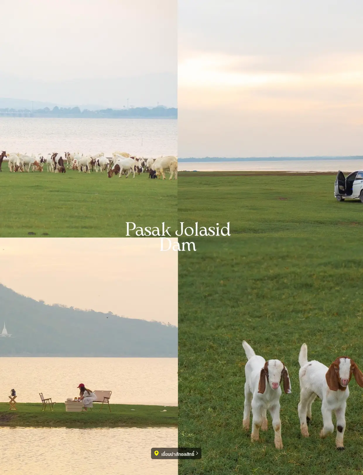 รวมที่เที่ยว One day trip in ลพบุรี 🚘🌳 | แกลเลอรีที่โพสต์โดย lbzero | Lemon8