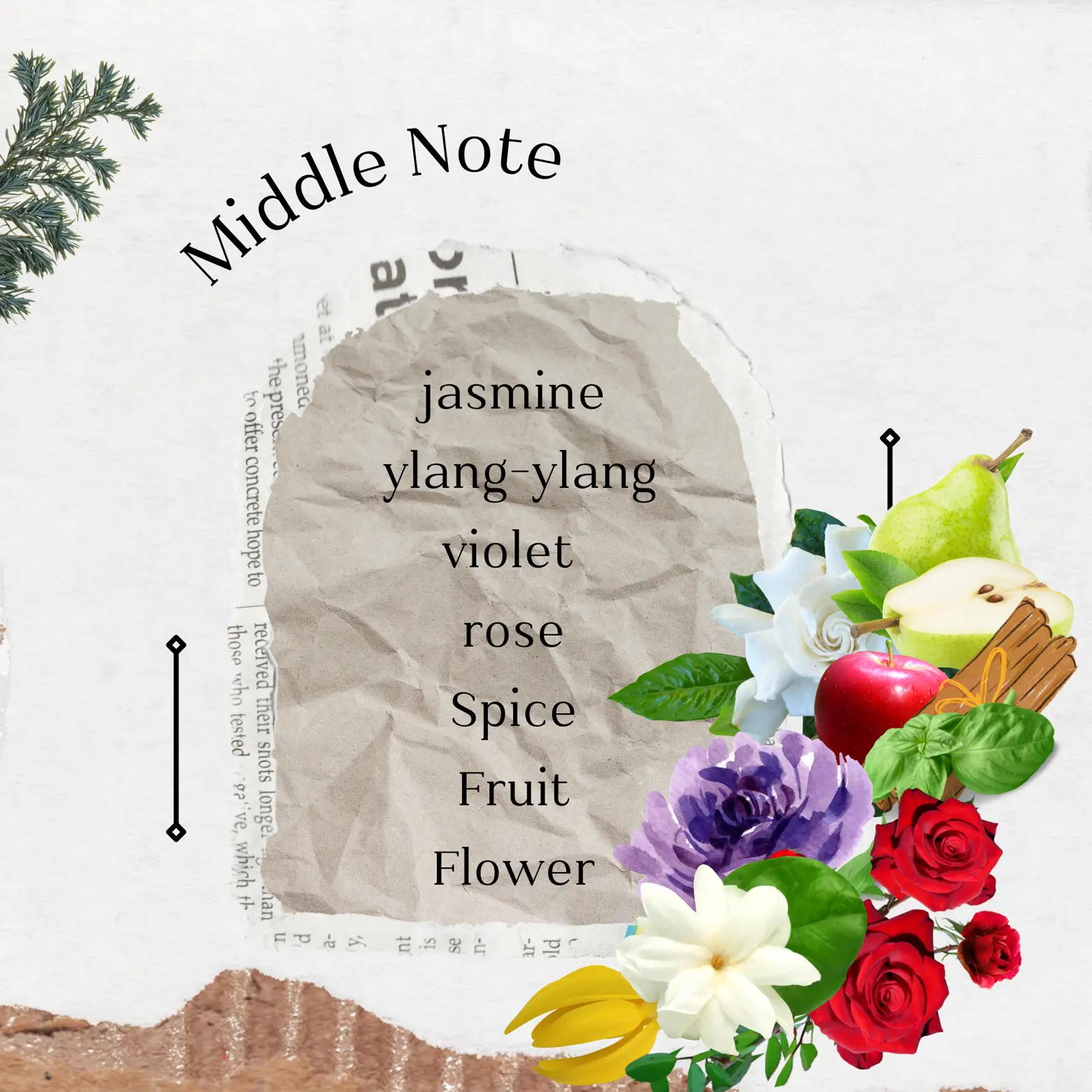 Perfum101: Base Note,Middle Note,Top Note คืออะไรนะ | แกลเลอรีที่โพสต์ ...