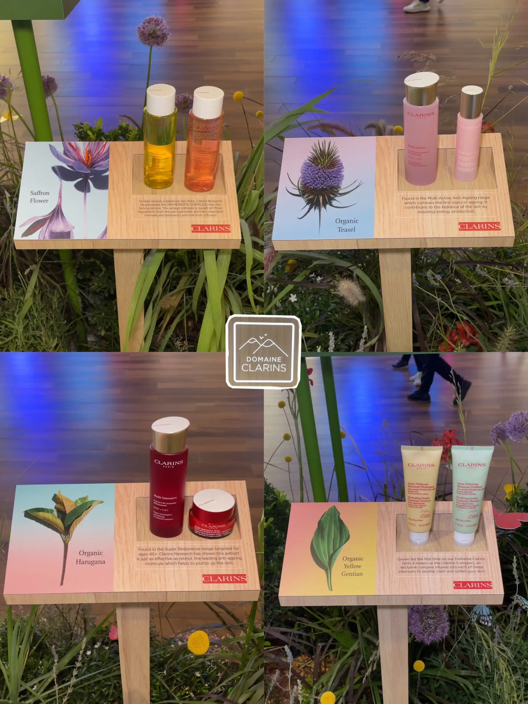 Exploring Garden at DOMAINE CLARINS | Gallery posted by PasirPanjangBoy | Lemon8