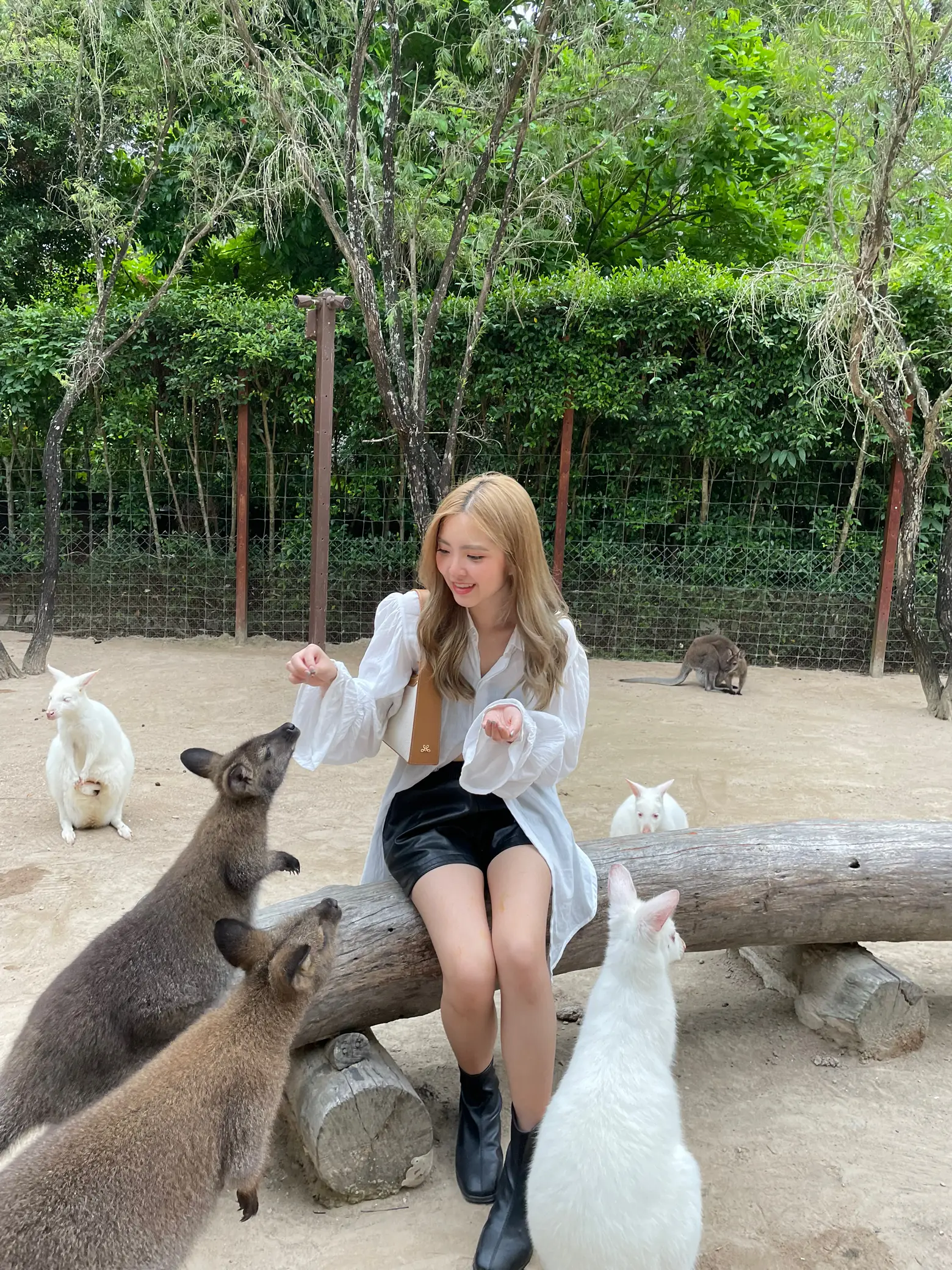 พาเที่ยว Alpaca hill @ราชบุรี กันน~~ | แกลเลอรีที่โพสต์โดย Ninkyun | Lemon8