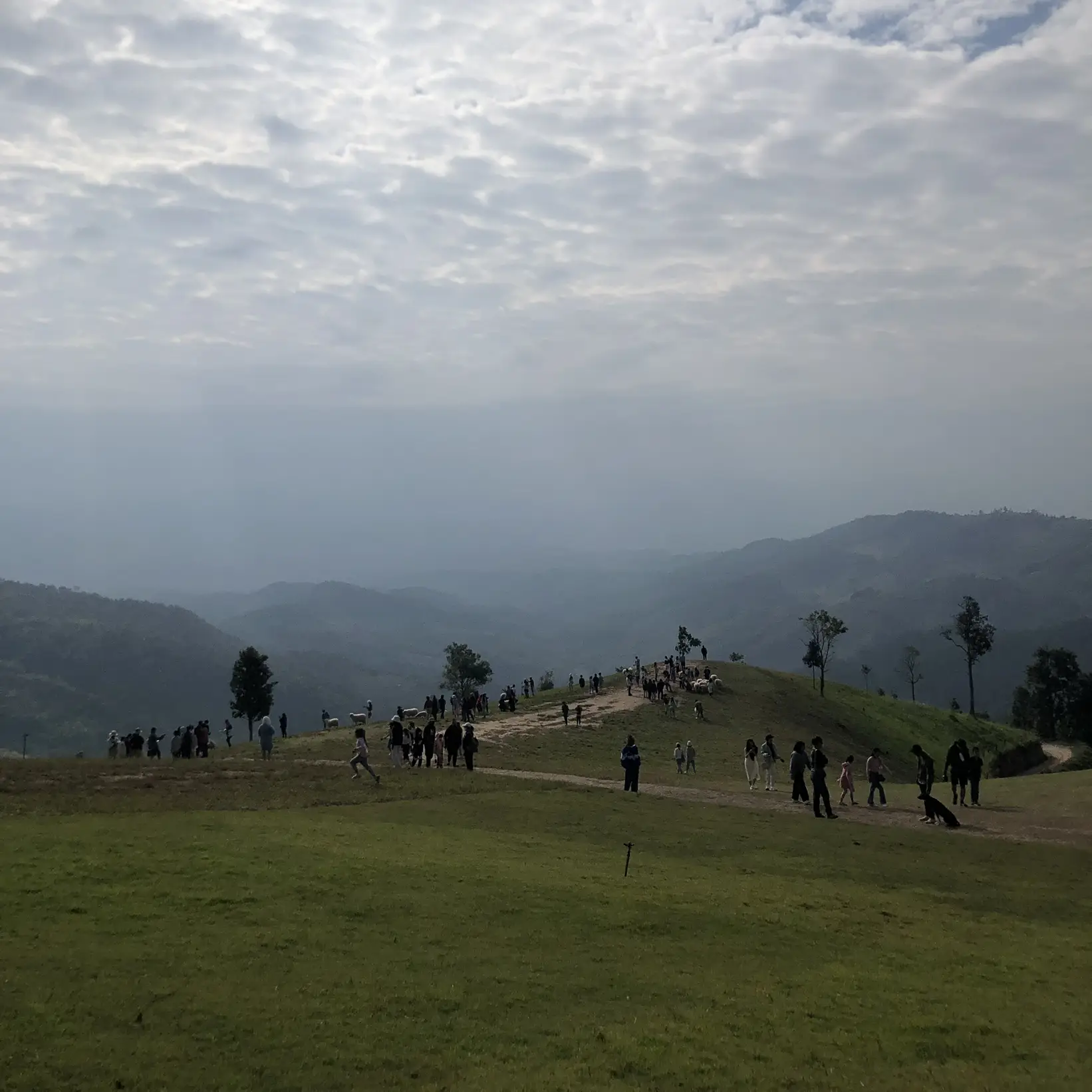 อยู่เมืองไทยแต่ใจบอกสวิตเซอร์แลนด์ที่ Akha Farm 🐑 | แกลเลอรีที่โพสต์โดย ...