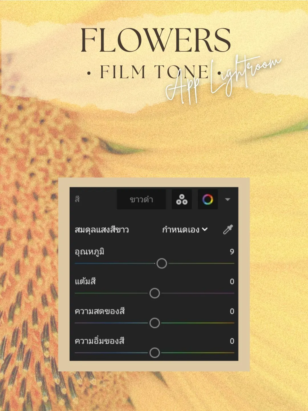 แจกโทน flowers film tone | App Lightroom | แกลเลอรีที่โพสต์โดย Mozkonn ...