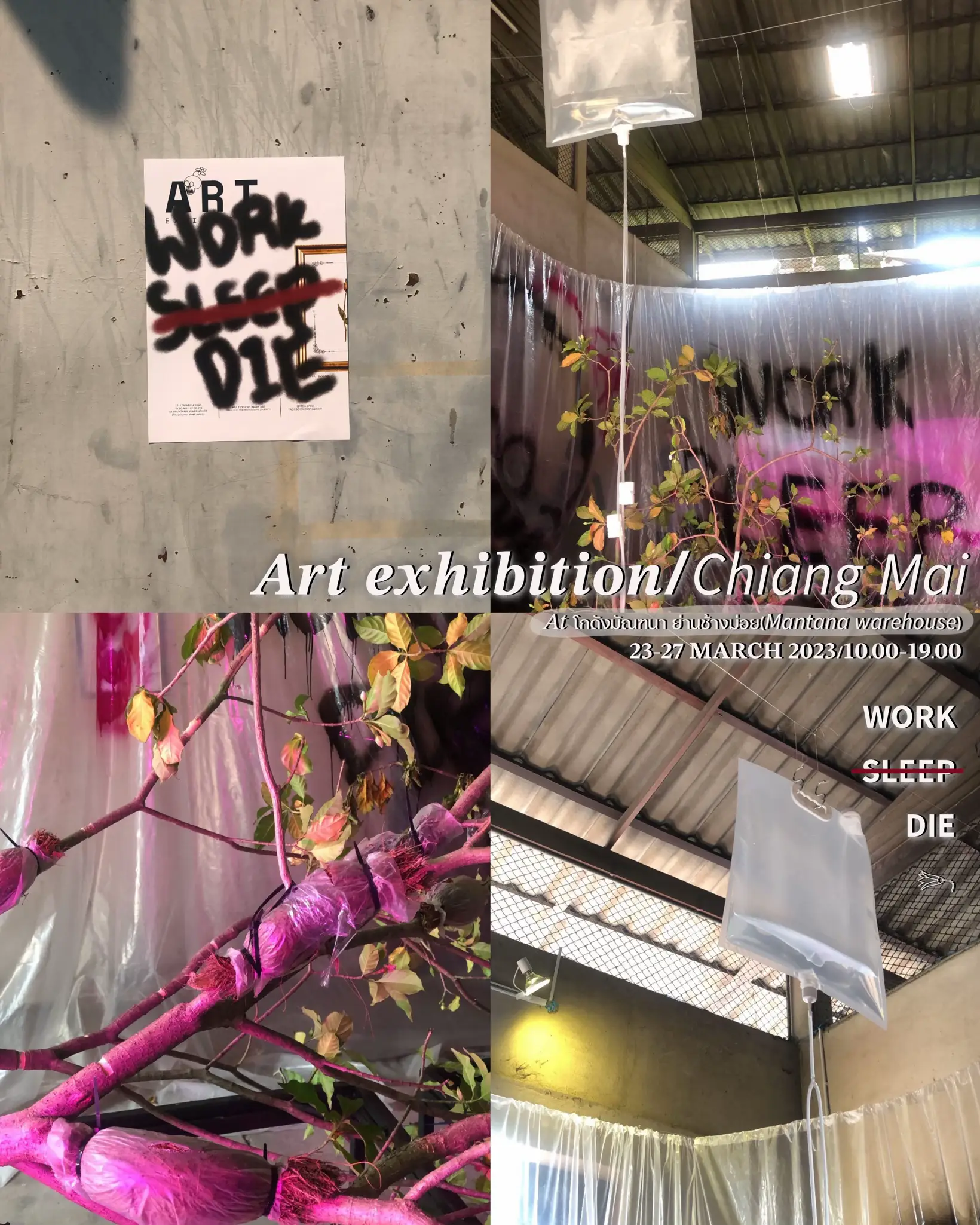 𝗪𝗢𝗥𝗞 𝗦𝗟𝗘𝗘𝗣 𝗗𝗜𝗘 | นิทรรศการในเมืองเชียงใหม่ ย่านช้างม่อย | แกลเลอรีที่ ...