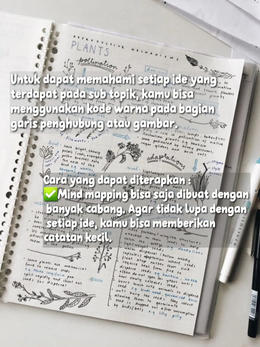 TIPS MEMBUAT MIND-MAPPING MUDAH ANTI RIBET ALA AKU | Galeri diposting ...