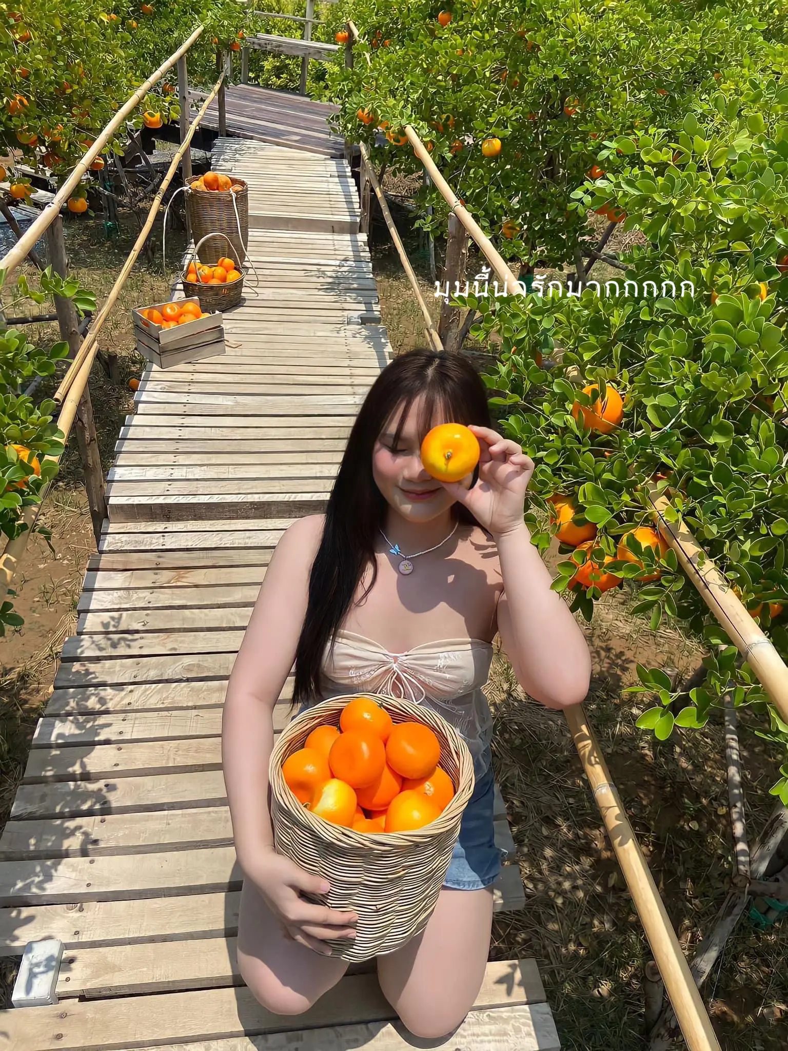 caf-move-to-mountain-garden