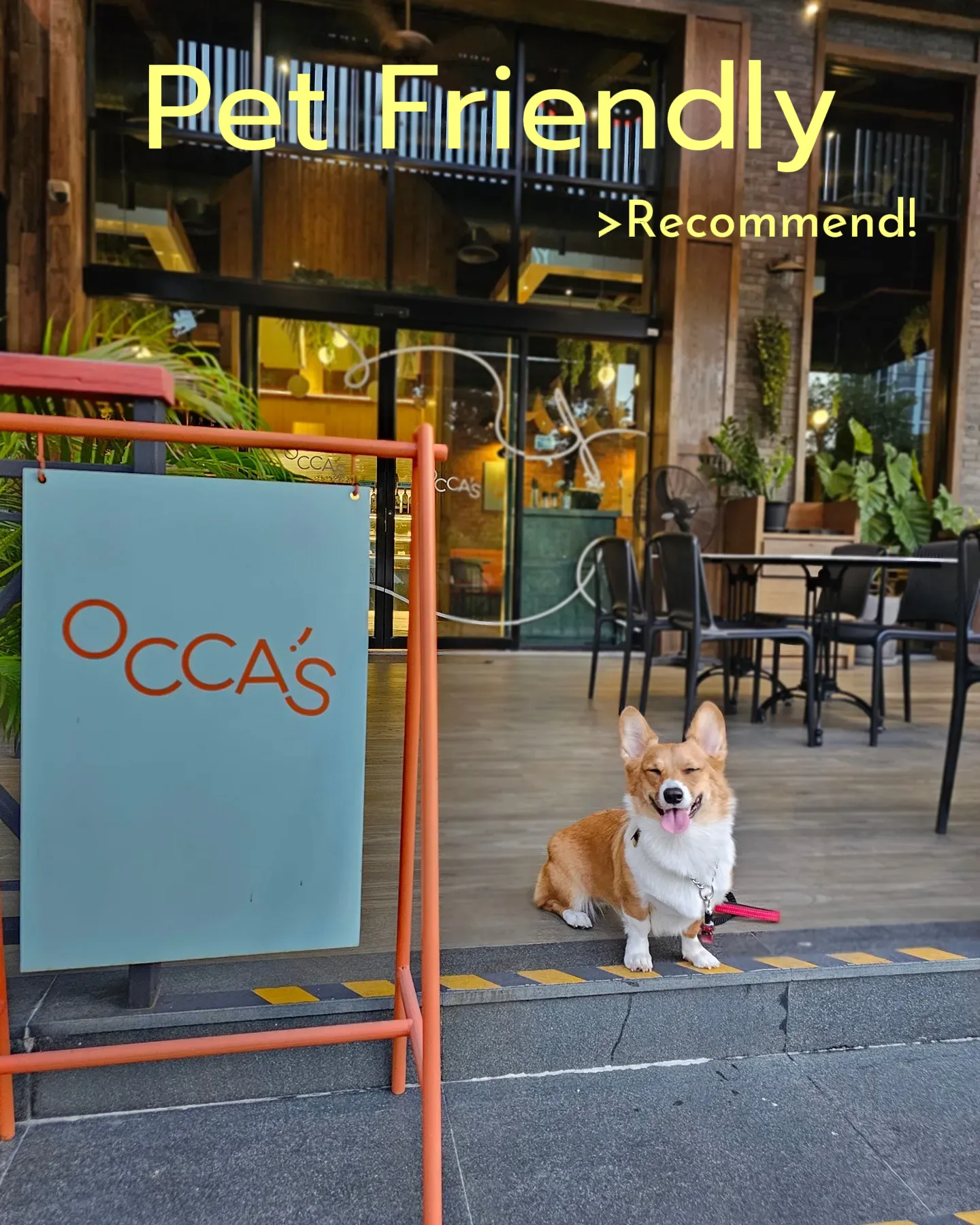 Pet Friendly@OCCA'S เอกมัย #หมาเข้าแอร์ได้ | แกลเลอรีที่โพสต์โดย ดัมเบล&มี๊รีวิว | Lemon8
