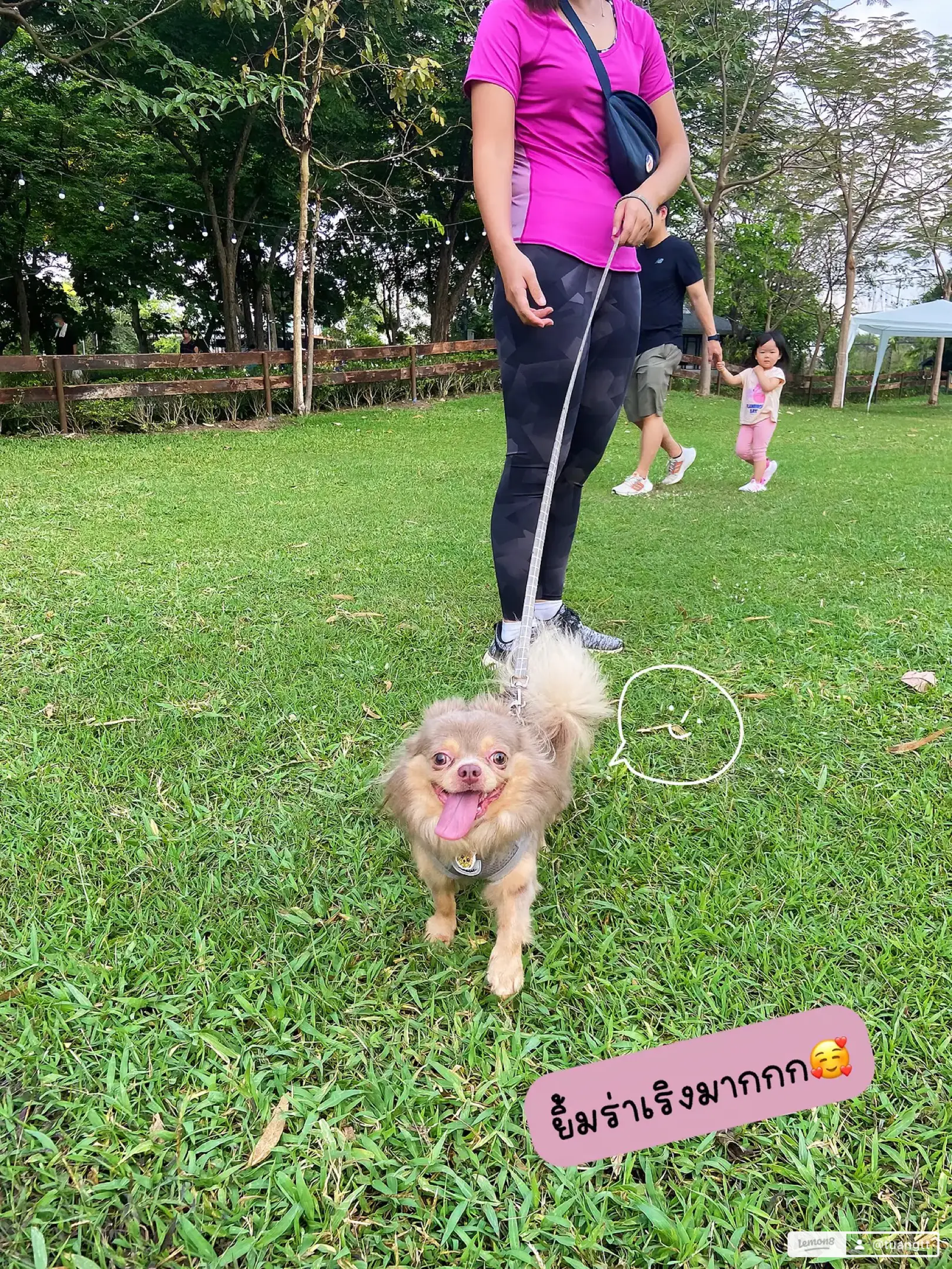 สวนรถไฟ เปิด Pet park เอาใจคนรักสัตว์! 🐶🌳 | แกลเลอรีที่โพสต์โดย tuangtt | Lemon8