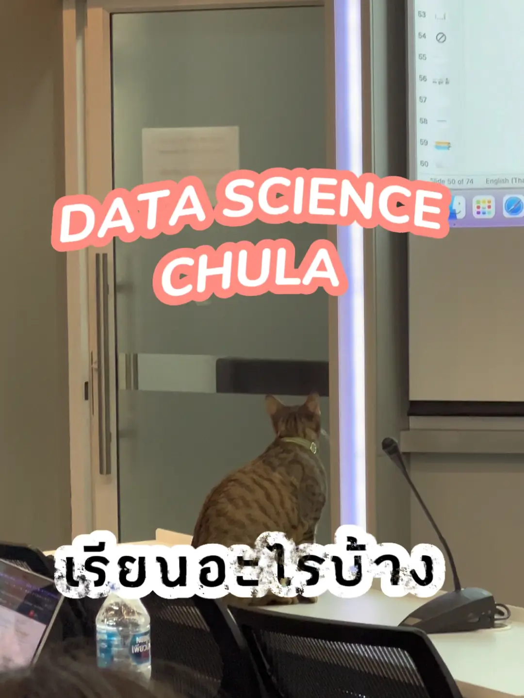 เรียน ป.โท Data Science ต้องมีพื้นฐานอะไรบ้าง 📈 | แกลเลอรีที่โพสต์โดย Baitoey | Lemon8