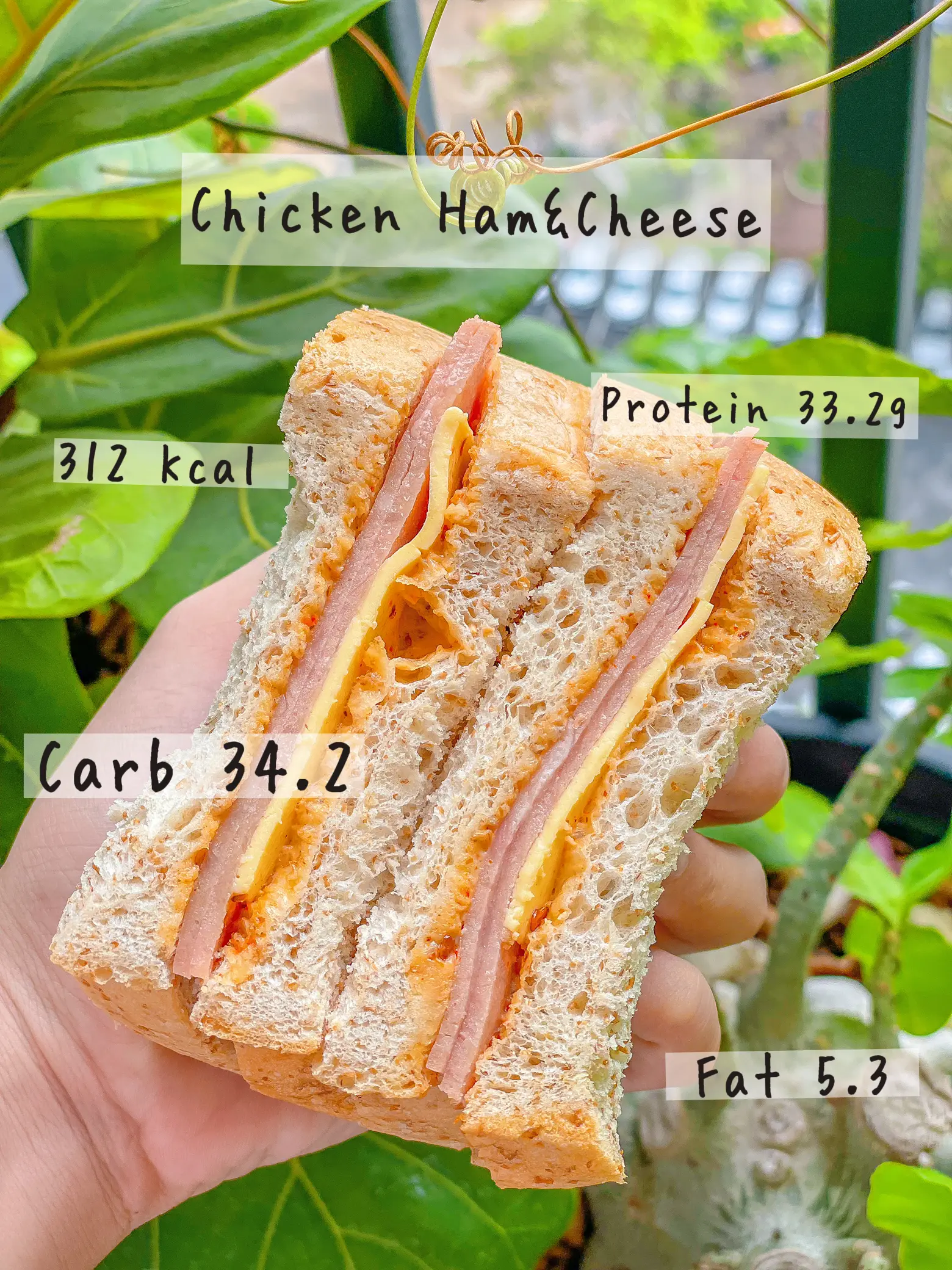 ในช่วงลดน้ำหนัก เรากินแฮม/เบคอน/ไส้กรอก ได้ไหม | วิดีโอที่เผยแพร่โดย Sapawut | Lemon8