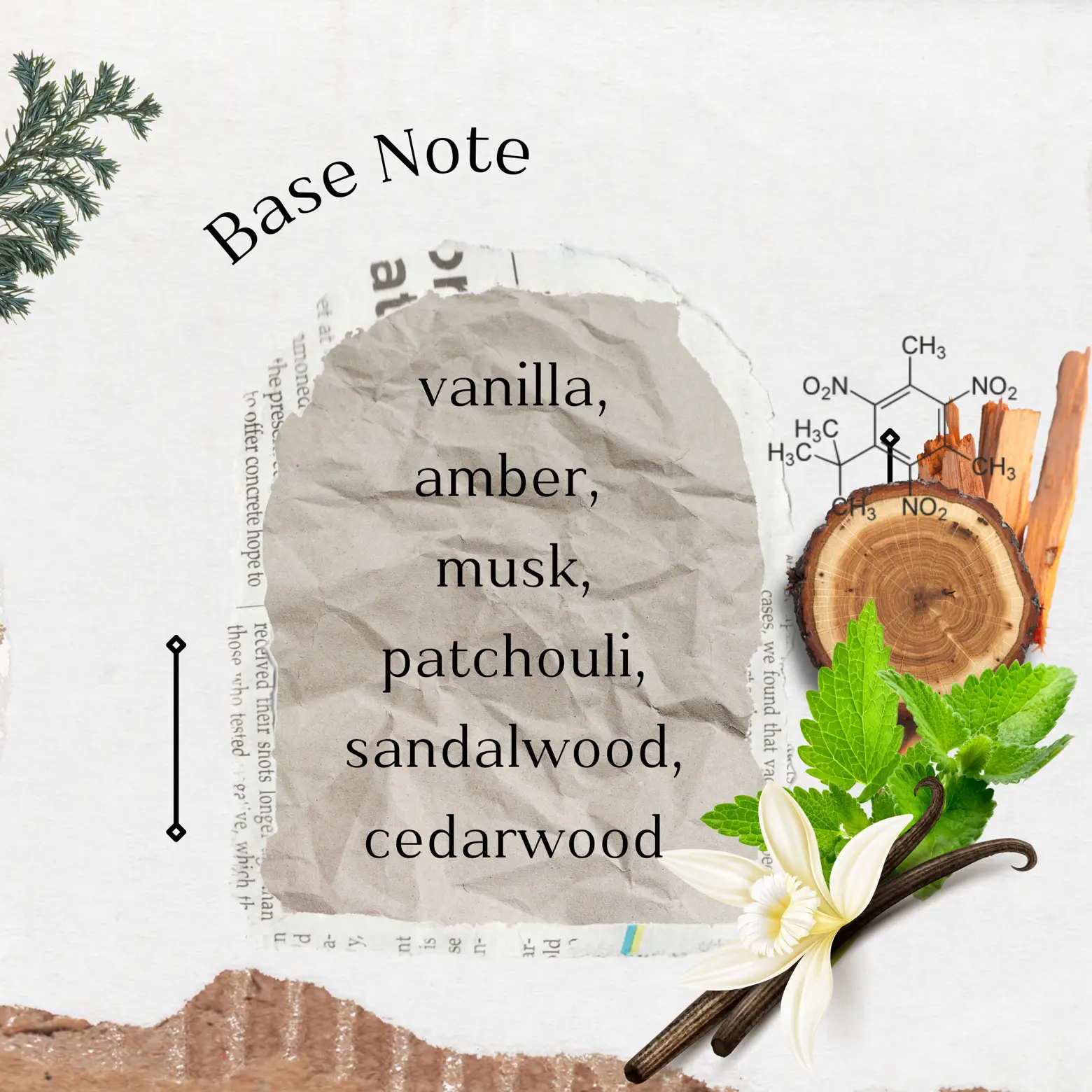 Perfum101: Base Note,Middle Note,Top Note คืออะไรนะ | แกลเลอรีที่โพสต์ ...