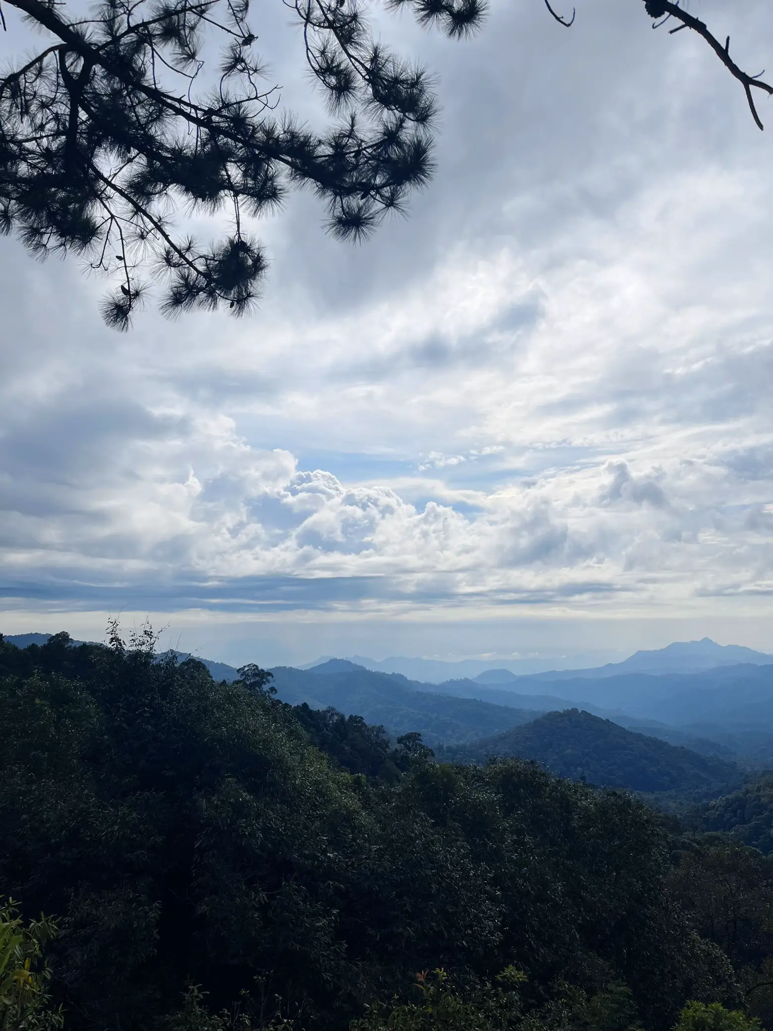 Let's go to Chiang Mai for five days. DAY 4-5. | Gallery posted by pim | Lemon8