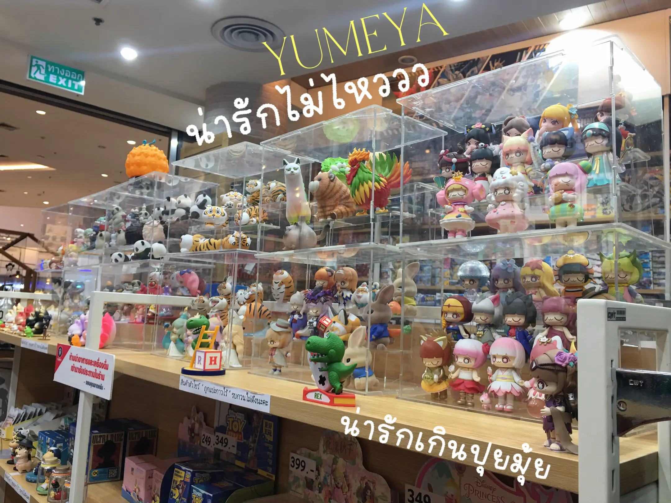 YUMEYA @Mega-Bangna อ้ย อะไรมันจะน่ารักขนาดนั้นอะ!! | แกลเลอรีที่โพสต์ ...