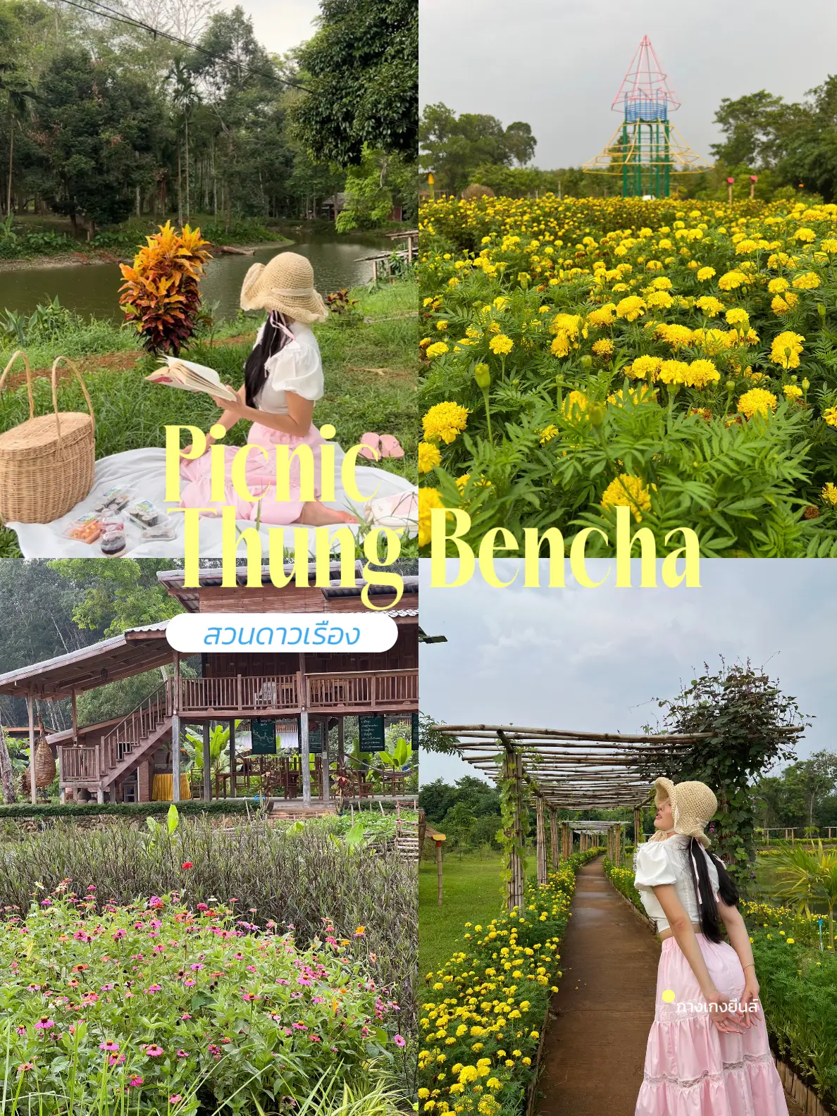 Marigold Park, Benja Field 🍃🌼 | Gallery posted by Nicha Chusuwan | Lemon8