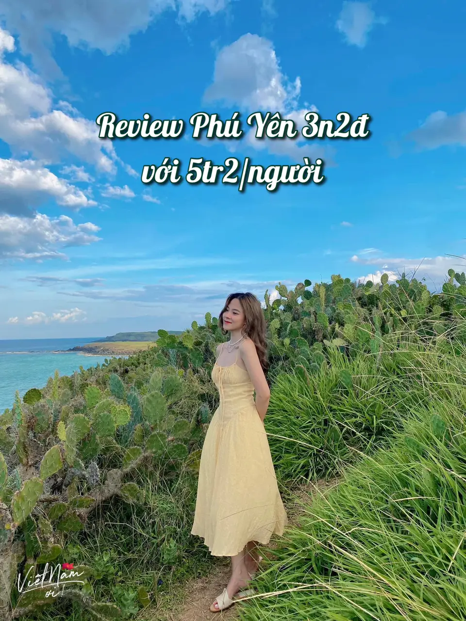 Review Phú Yên 3n2đ với 5tr2/người 🌿🌿💚 | Bộ sưu tập do Việt Nam Ơi đăng | Lemon8