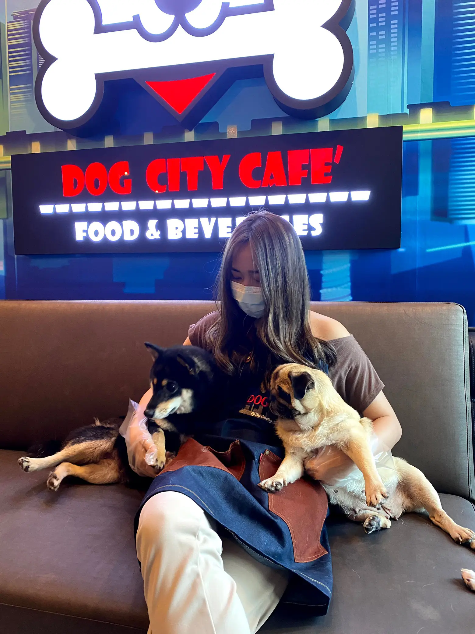 Dog City Cafe คาเฟ่หมาใจกลางเมือง | แกลเลอรีที่โพสต์โดย milkpcyn | Lemon8