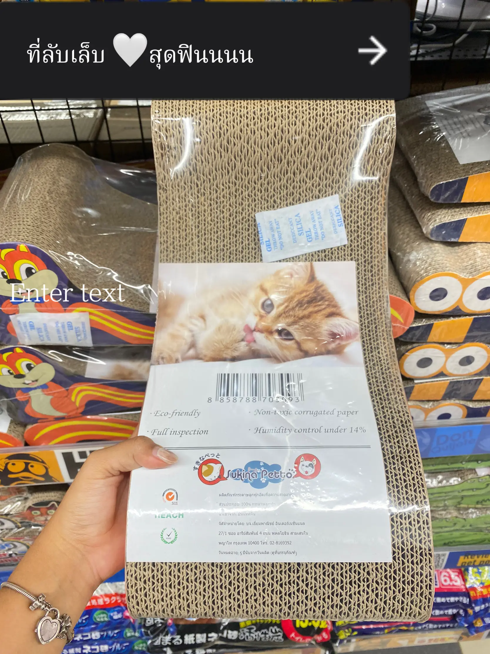 พาส่องโซนสัตว์เลี้ยงที่ Don Don: Donki 😻 | แกลเลอรีที่โพสต์โดย PPun&My ...