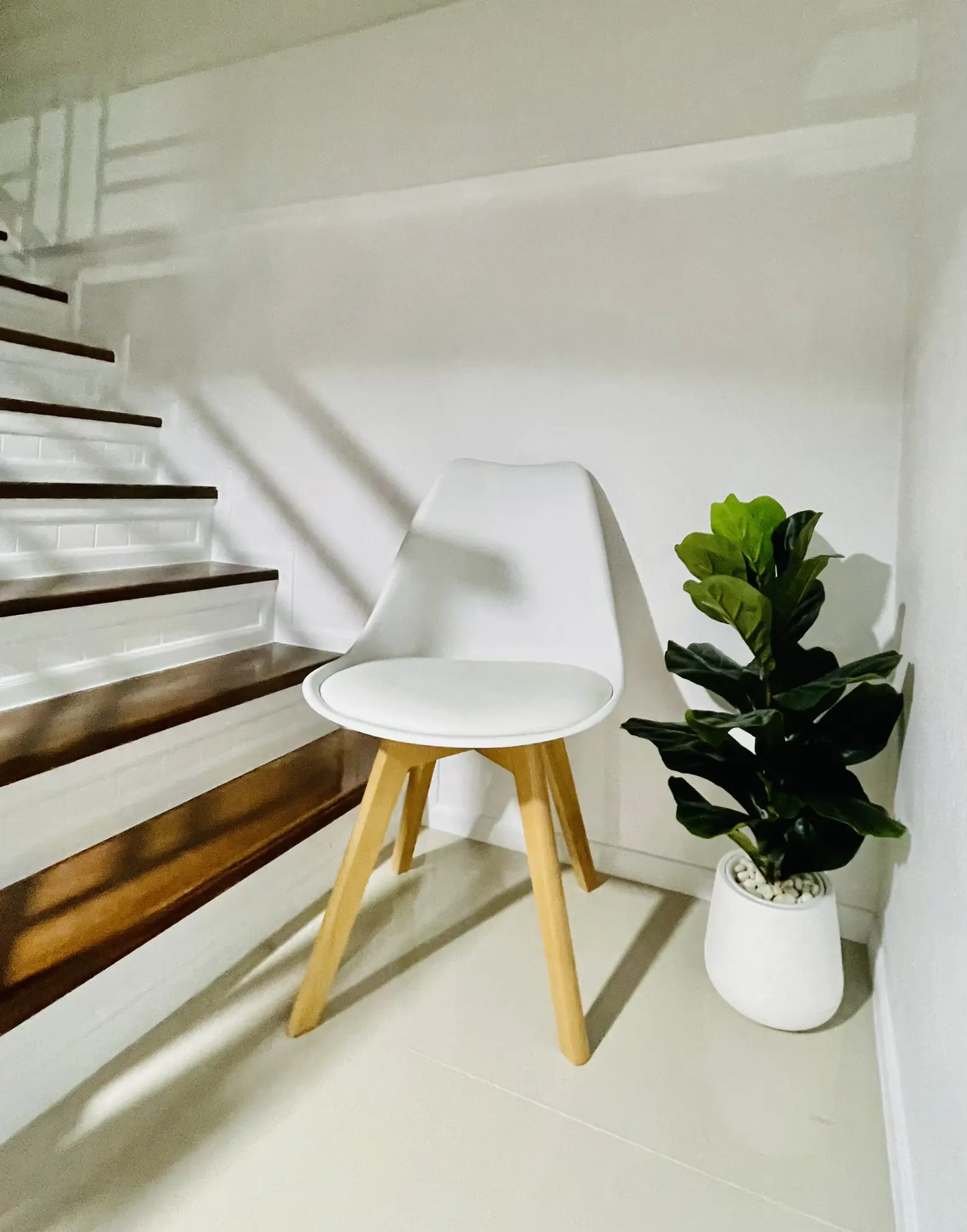 ต้นไม้ประดิษฐ์ (ต้นไม้ปลอม) เพิ่มความอบอุ่นในบ้าน | แกลเลอรีที่โพสต์โดย ...