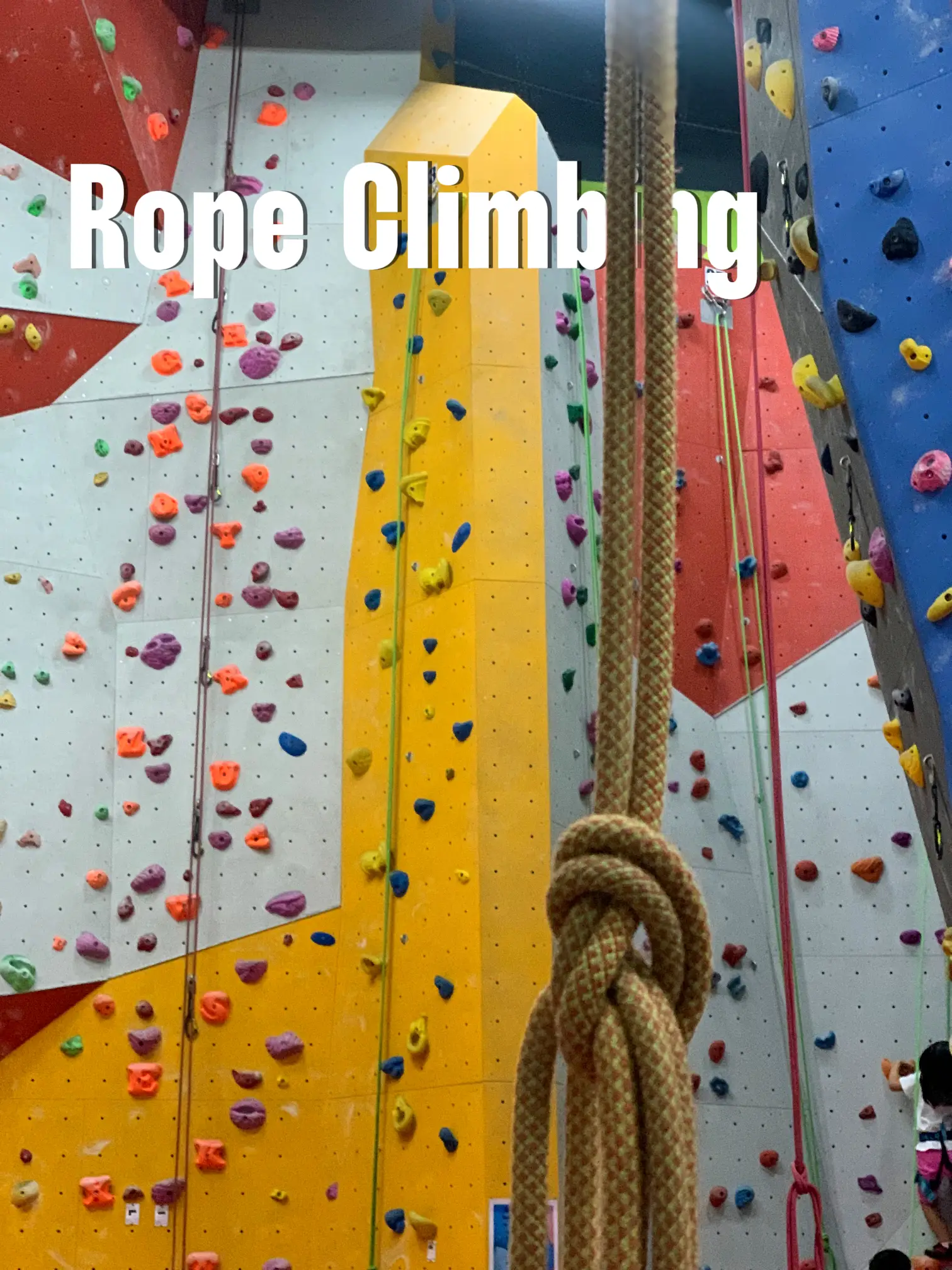 climbing - Lemon8 Search