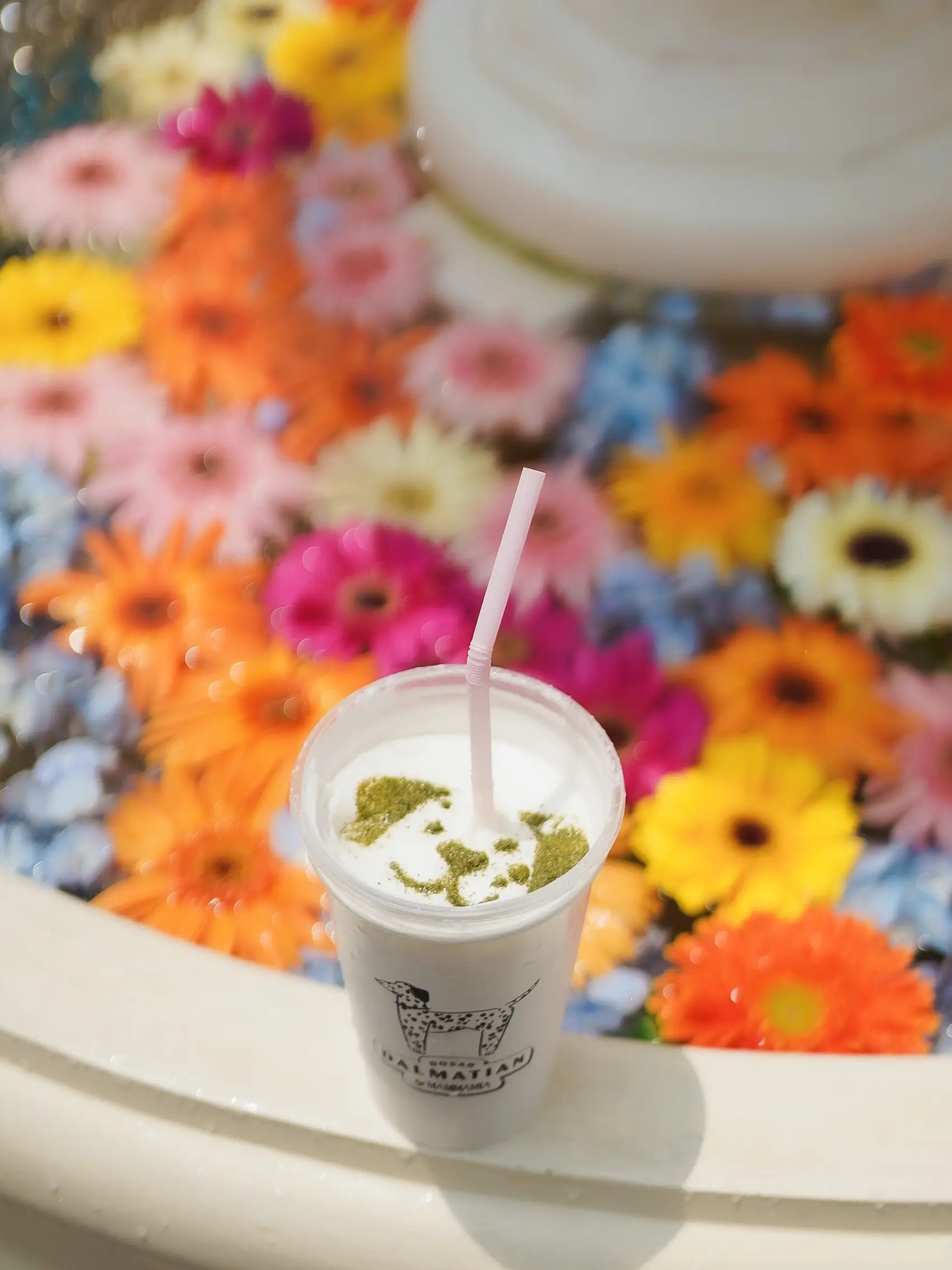 Dalmatian 달마시안 Siam Square Block | แกลเลอรีที่โพสต์โดย TravelTogether ...