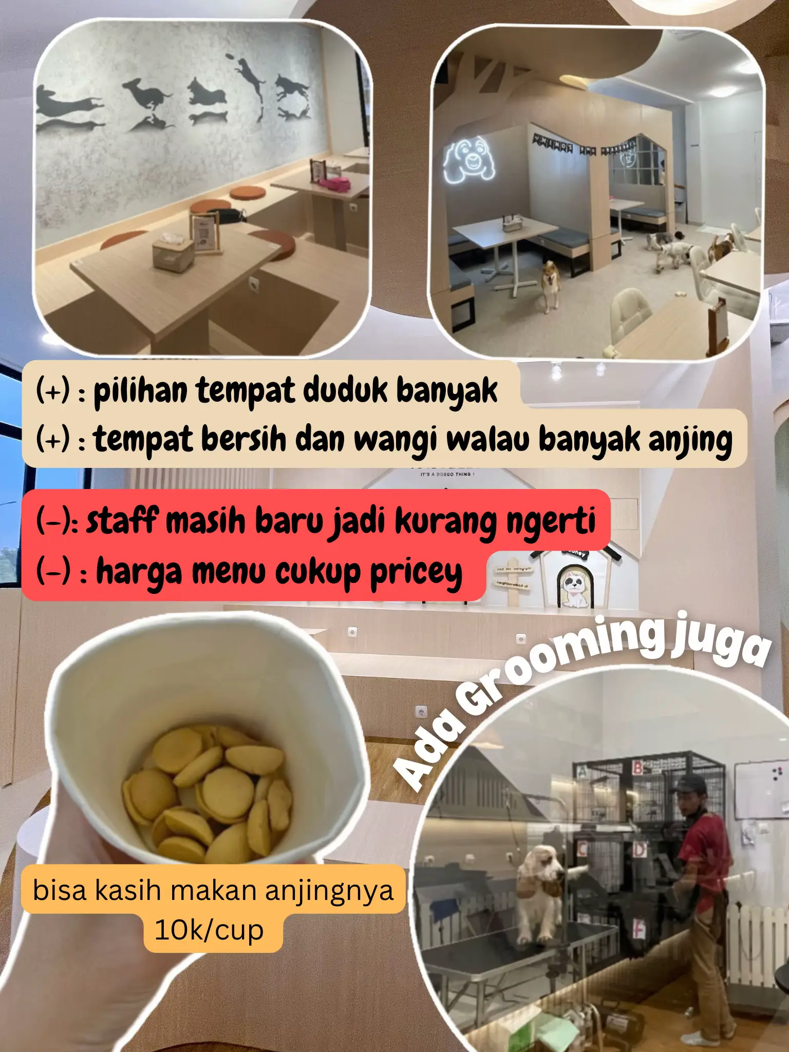Dog cafe aesthetic di Jakarta 🐶 | Galeri diposting oleh Shinta tata | Lemon8