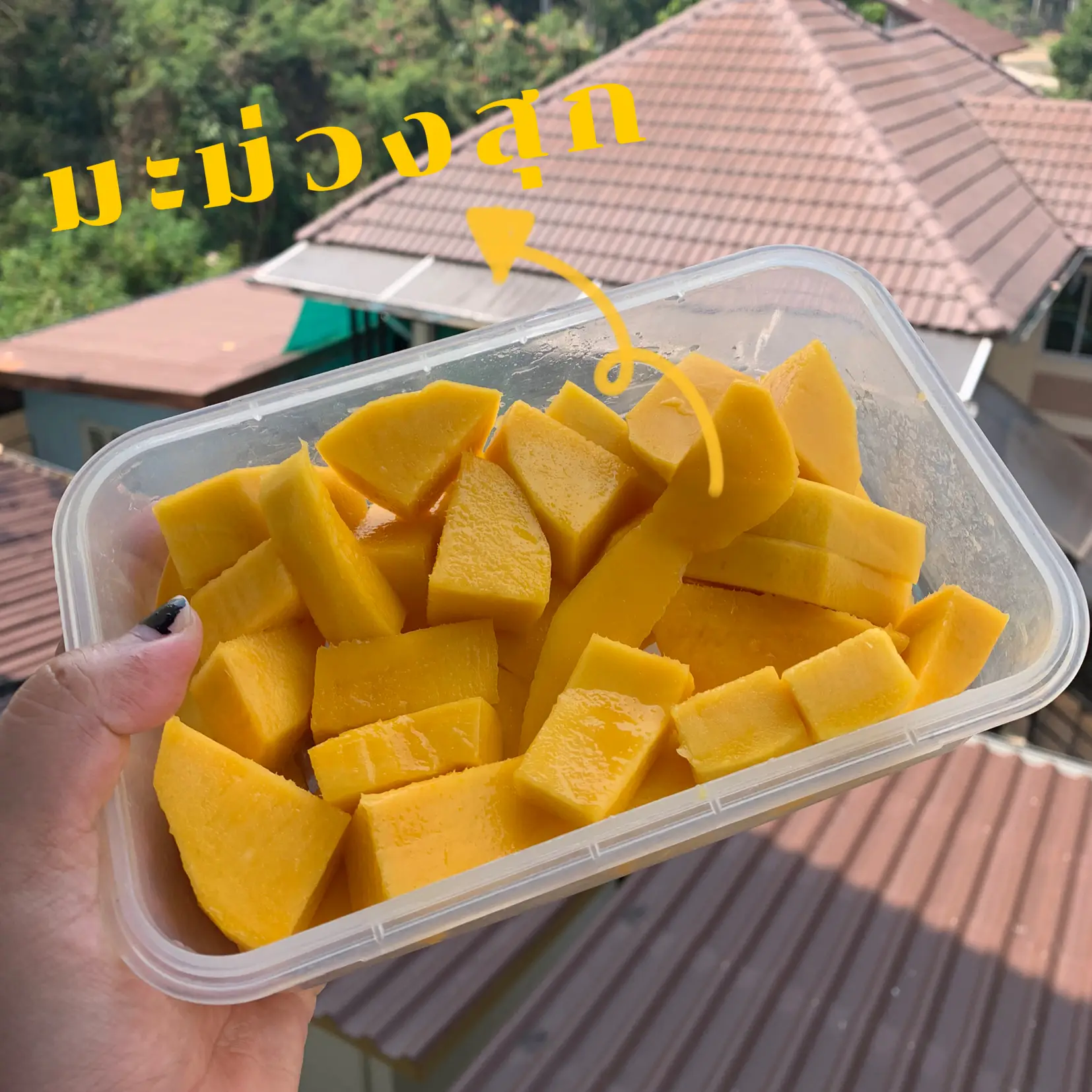 Snack break Ideas 🫡💖🍓🍑🥭🍎 | แกลเลอรีที่โพสต์โดย ส้มนักกิน | Lemon8