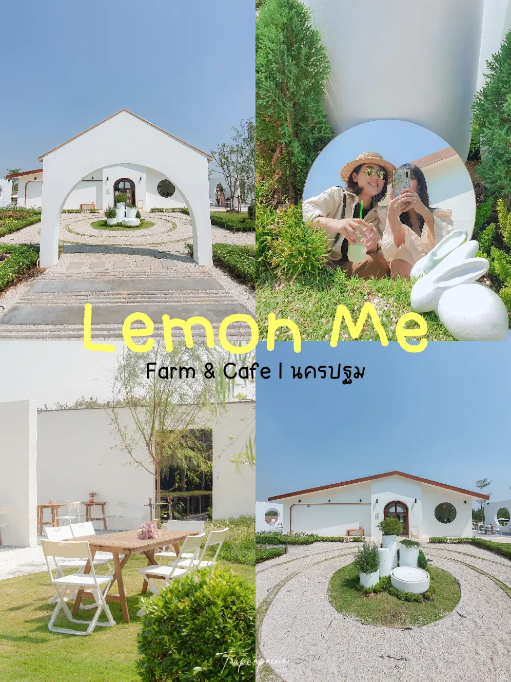 𝐋𝐞𝐦𝐨𝐧 𝐌𝐞 𝐅𝐚𝐫𝐦 & 𝐂𝐚𝐟𝐞 คาเฟ่สวนเลมอนสไตล์ญี่ปุ่น | แกลเลอรีที่โพสต์โดย Tripnapainai | Lemon8