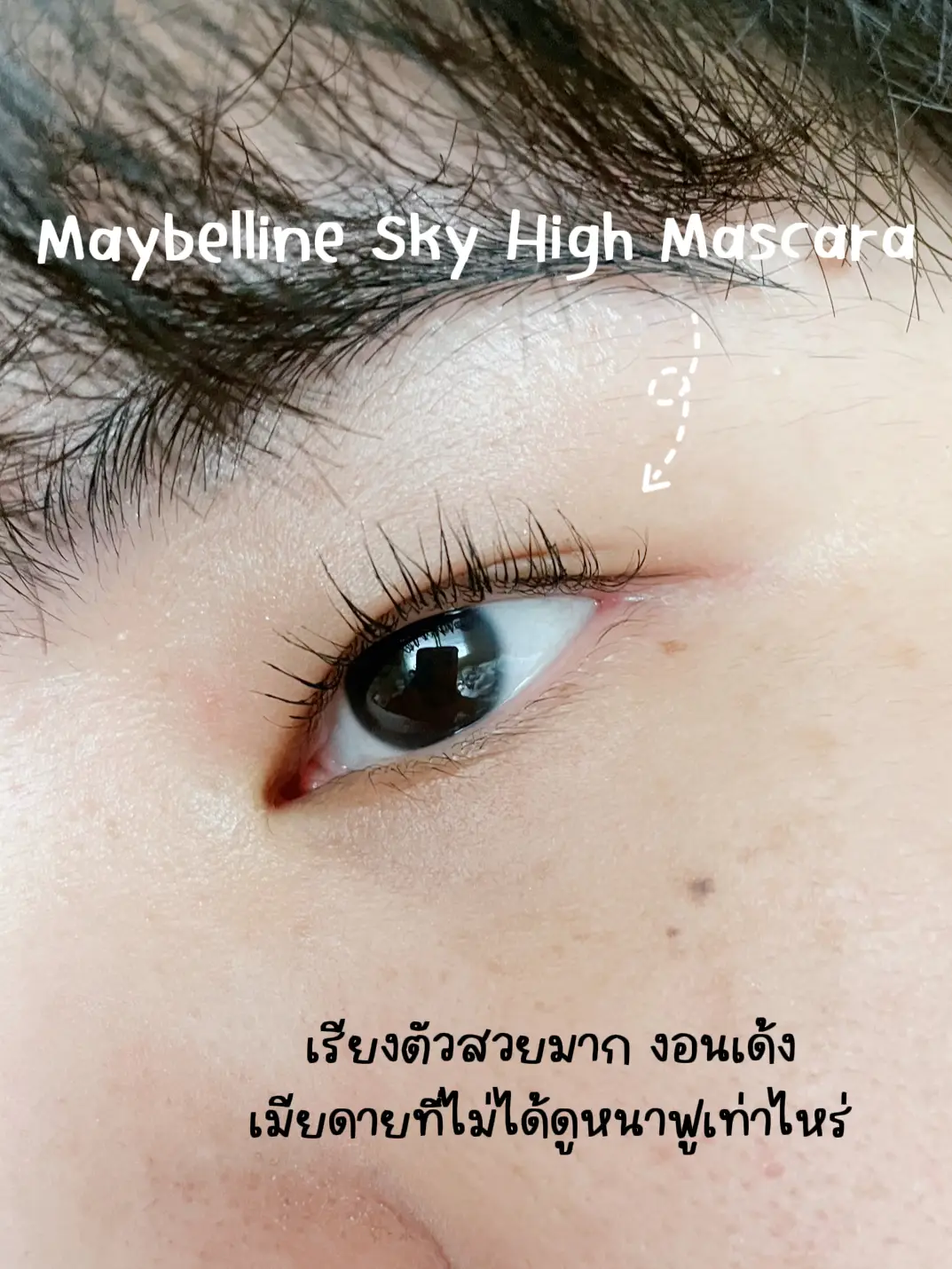 Maybelline Sky High 🆚 L’OREAL Lash Paradise 👀 | แกลเลอรีที่โพสต์โดย ปลา thelipstickfairy | Lemon8