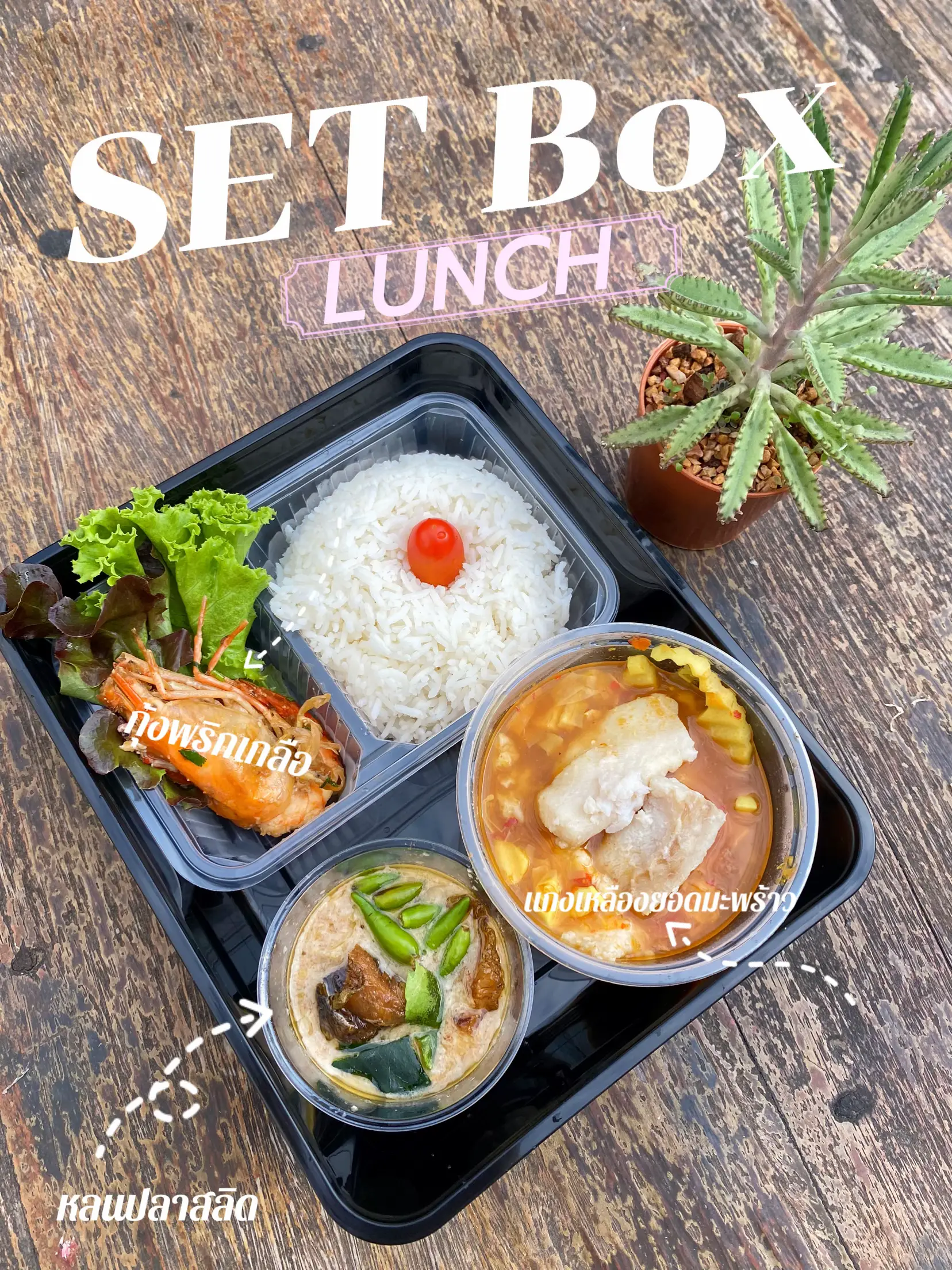 อาหาร Set BoX อร่อยถูกปากราคาถูกใจ | Gallery posted by Lady 1st | Lemon8