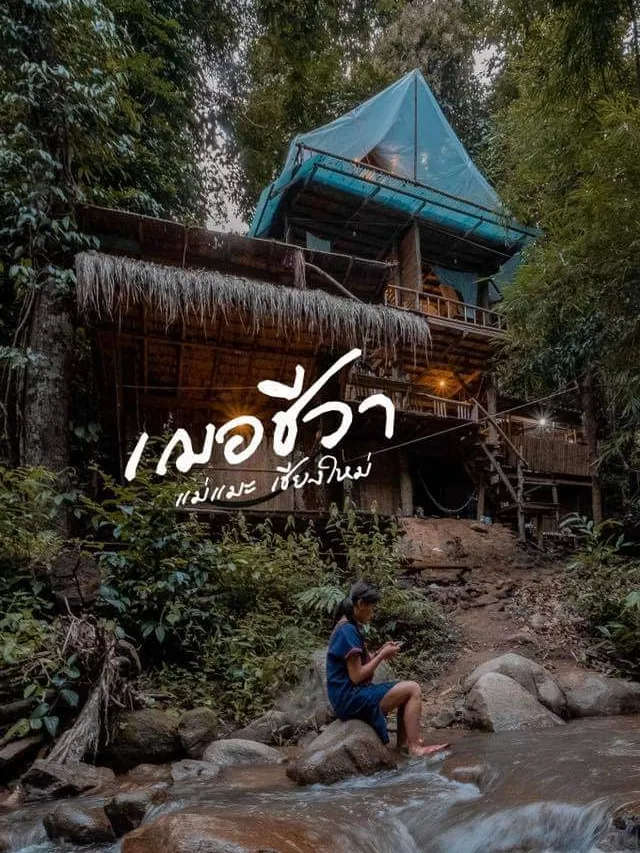 "Cher Chee," a small house in the big forest, Chiang Mai. | Gallery posted by TravelholicBlog ...