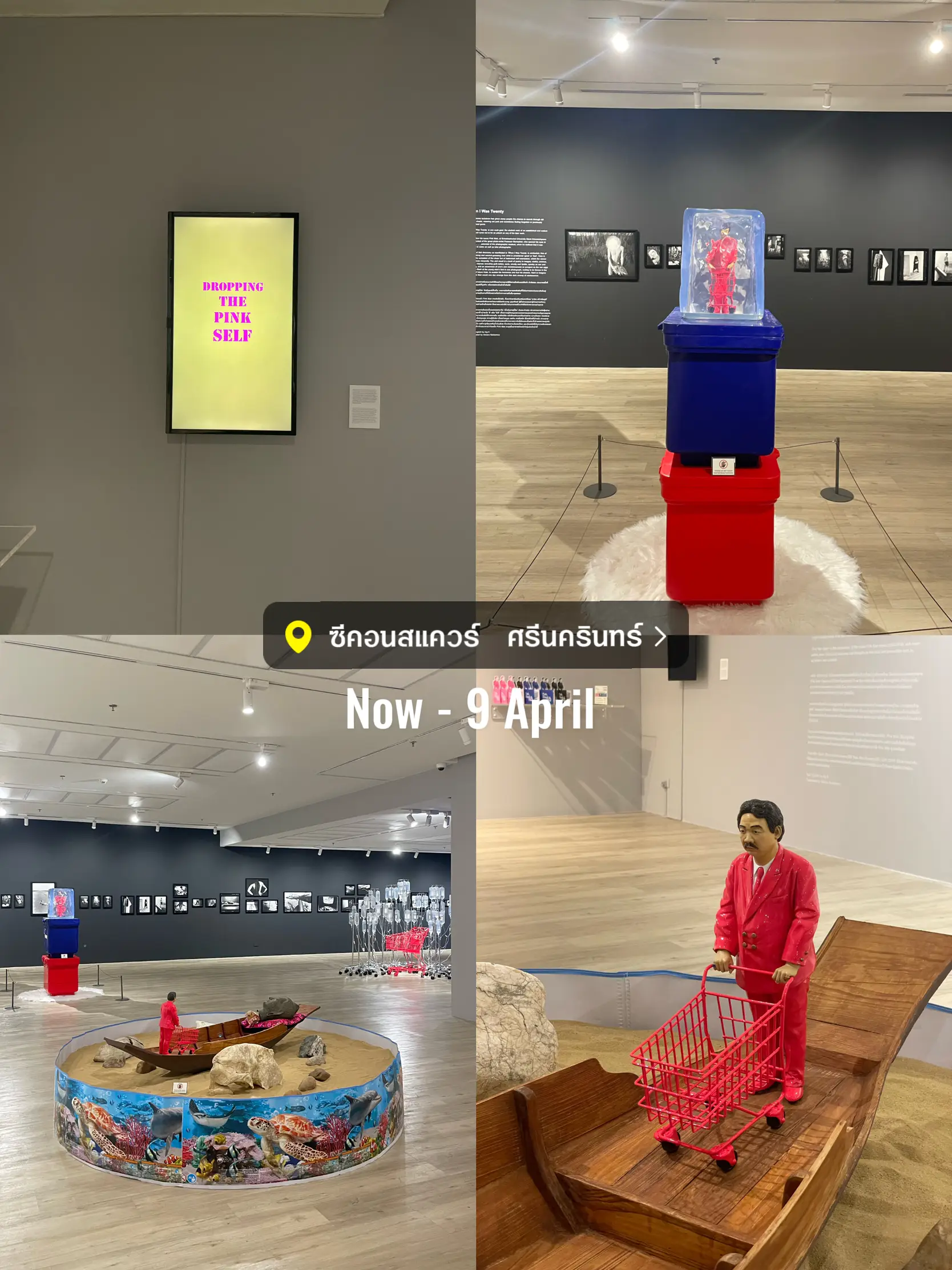 นิทรรศการภาพถ่ายที่ว่าด้วยเรื่องของสี @PinkBlack&Blue | แกลเลอรีที่โพสต์โดย kkhemii | Lemon8