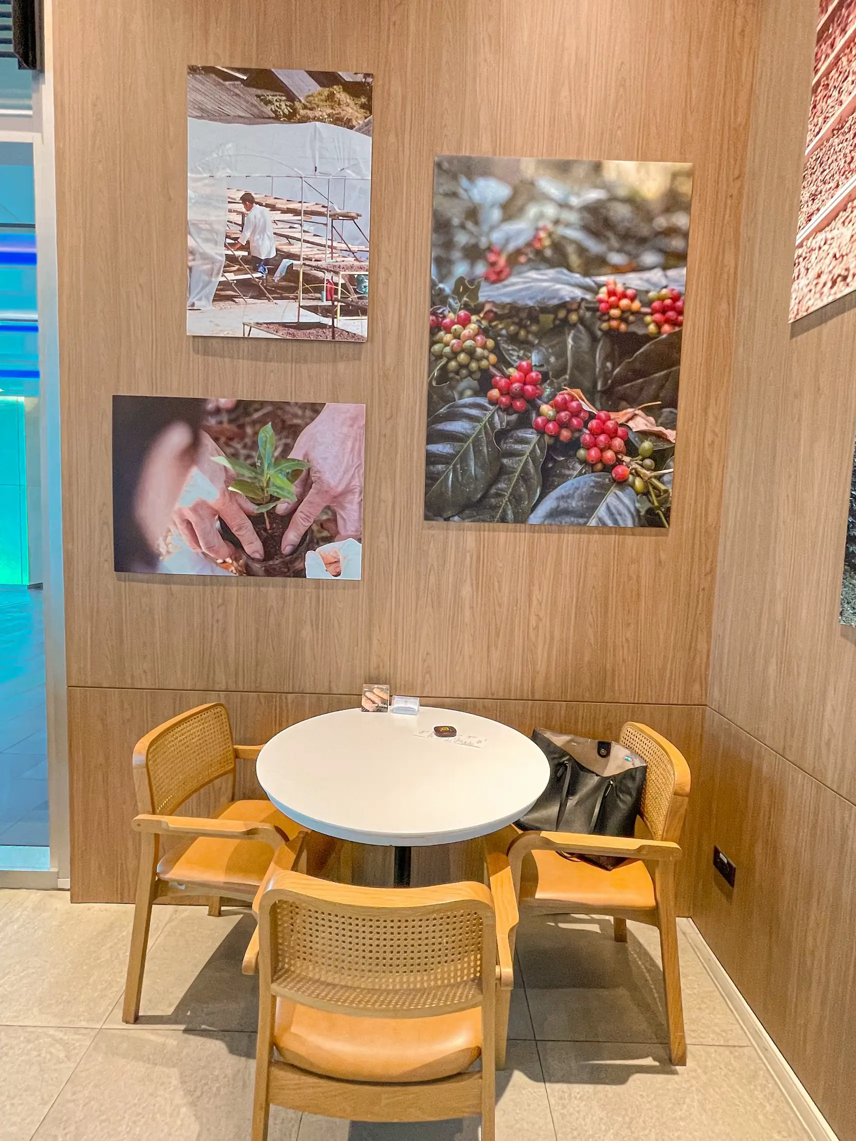 Roots at Bitec | แกลเลอรีที่โพสต์โดย จีนพากิน😋 | Lemon8