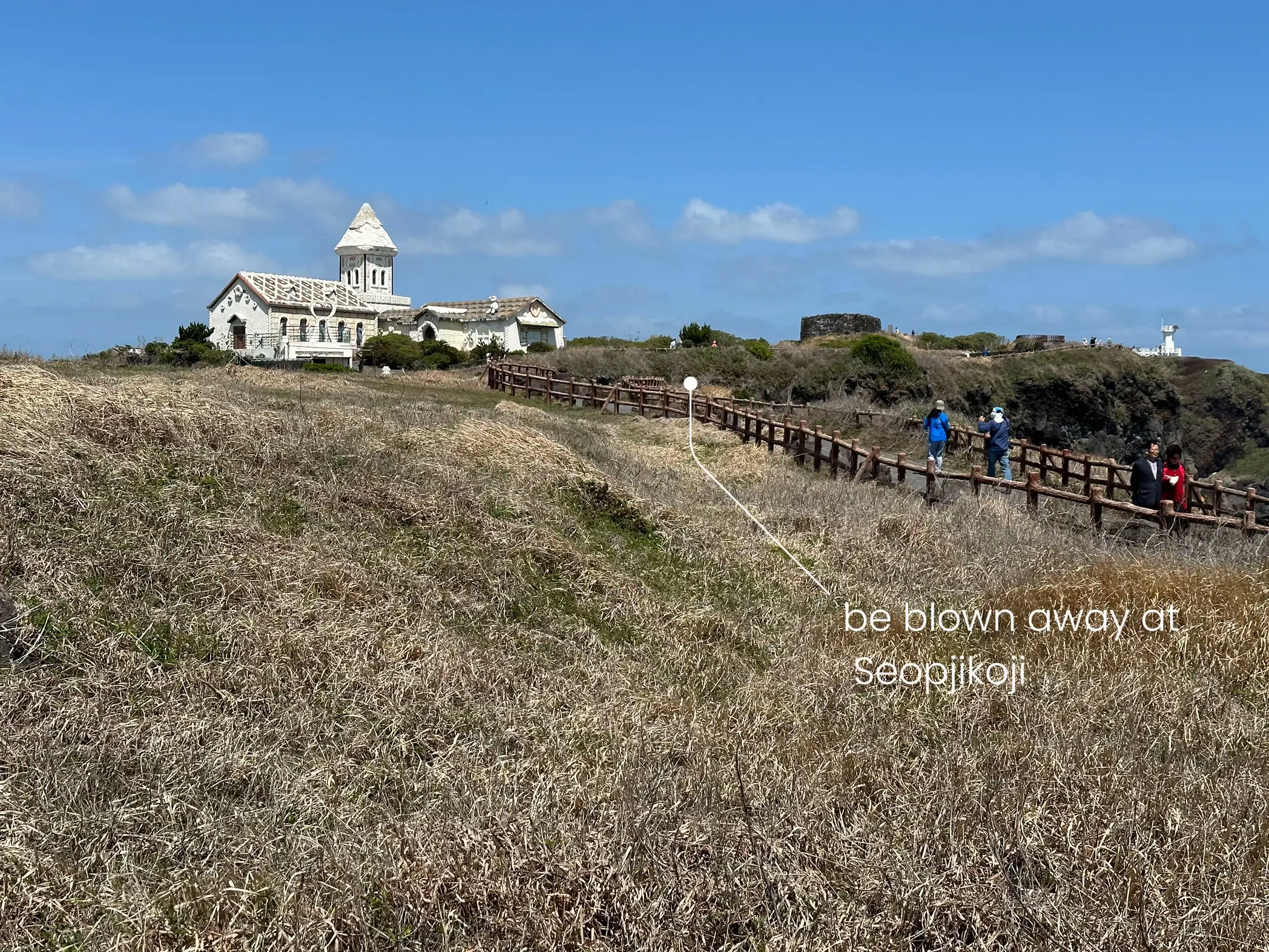 📌 10 things I did in Jeju in spring 🌸 | แกลเลอรีที่โพสต์โดย Ness | Lemon8