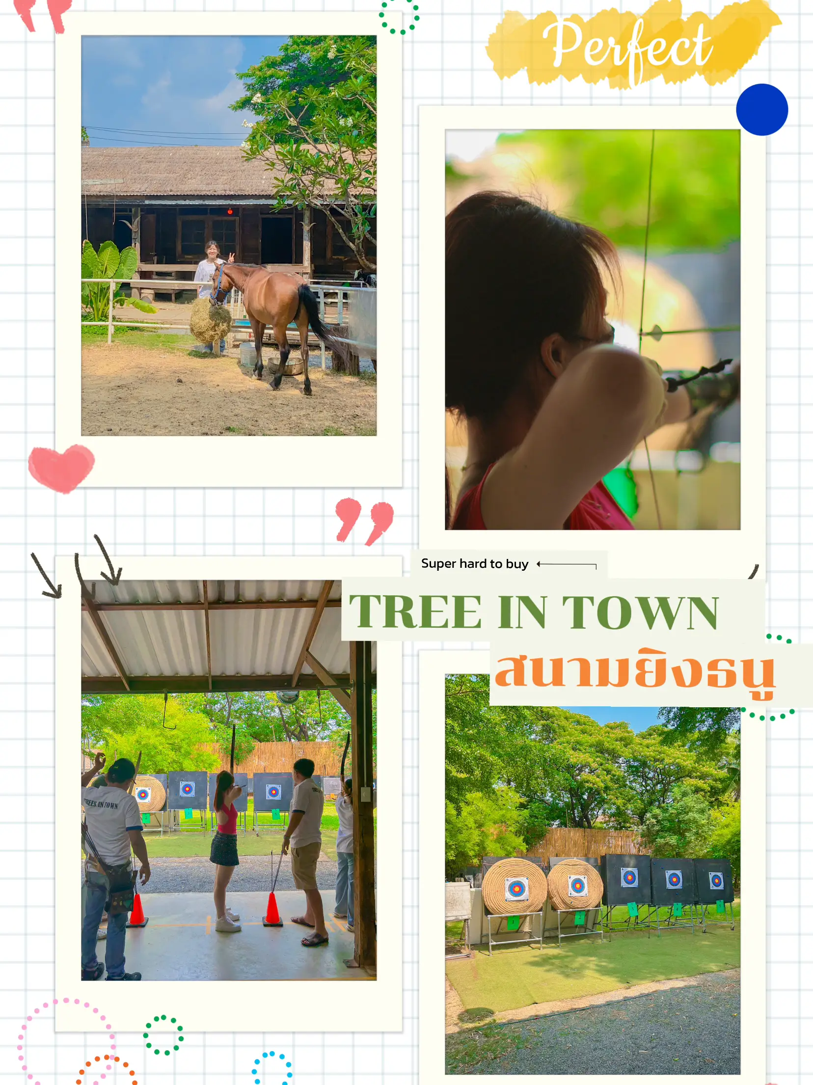 รีวิว Tree in town สนามยิงธนูย่านรามคำแหงลาดพร้าว | แกลเลอรีที่โพสต์โดย ᴶ'ᵈᵃ | Lemon8