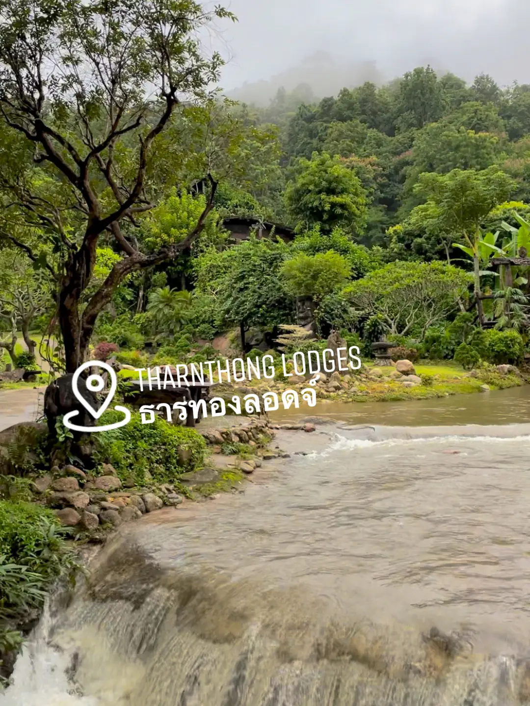Tharnthong Lodges - ธารทองลอดจ์ | วิดีโอที่เผยแพร่โดย Nss | Lemon8