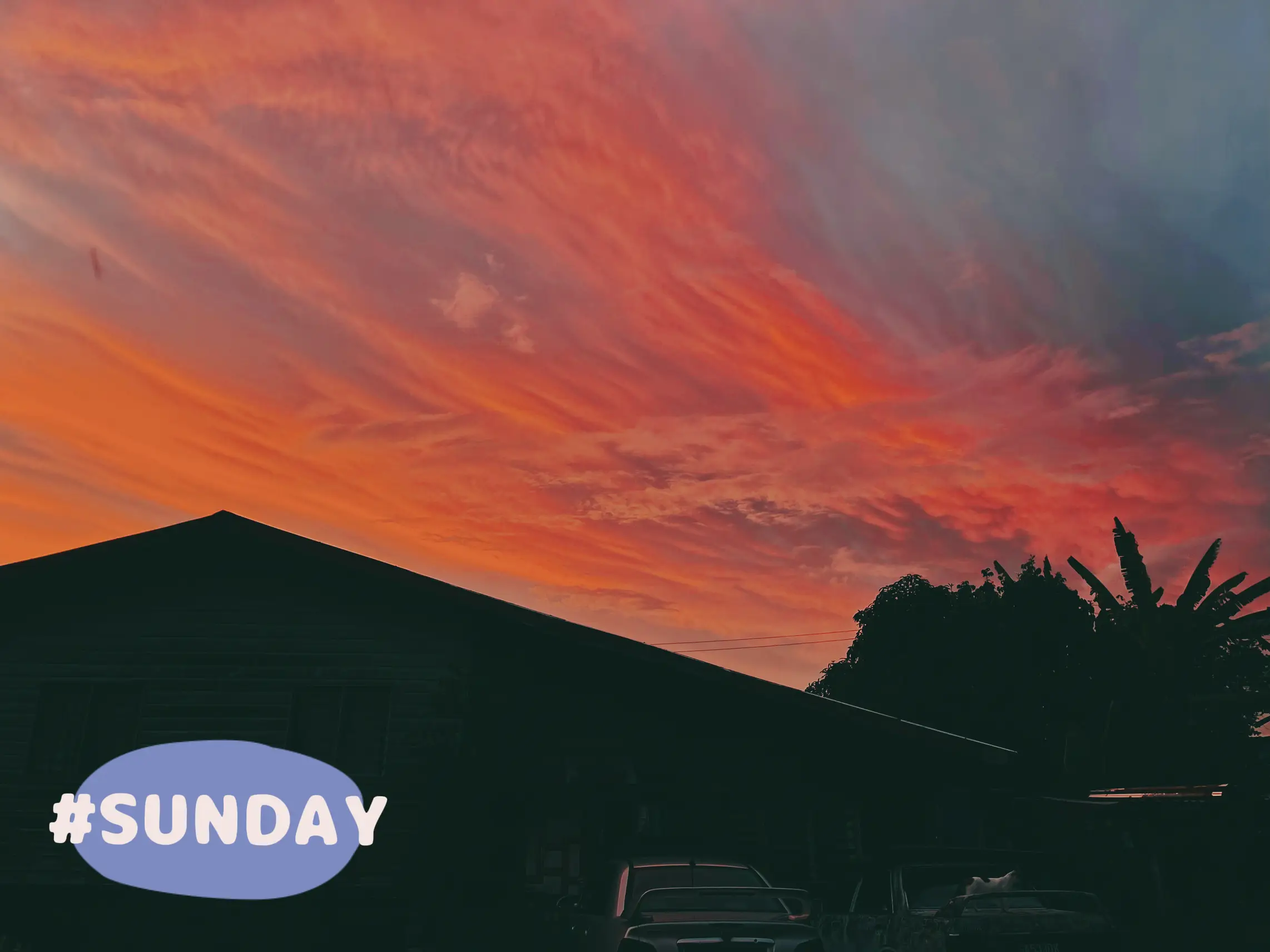 Sunday Evening | แกลเลอรีที่โพสต์โดย Lave28 | Lemon8