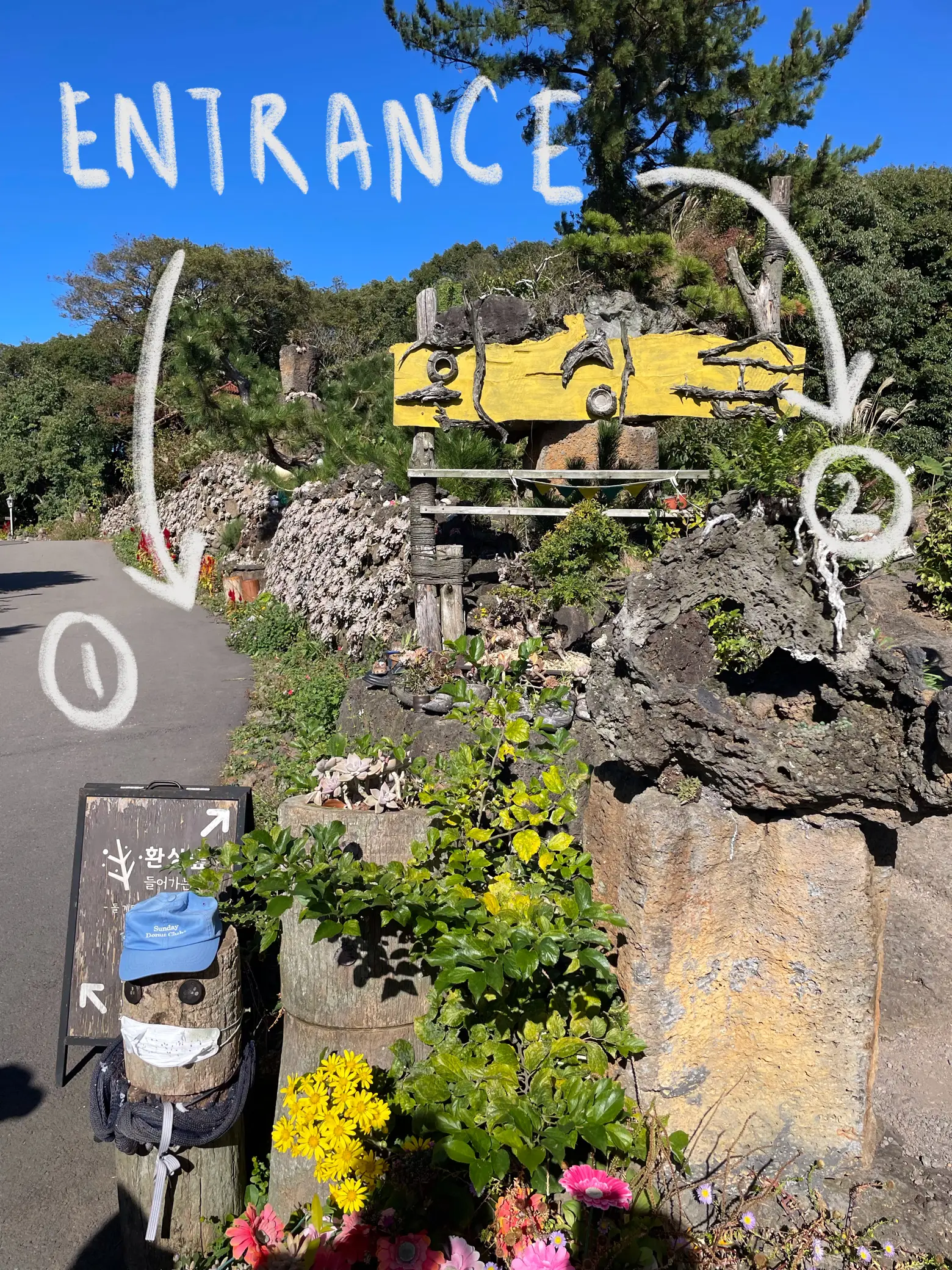 Peaceful Forest Trail: Hwansang Forest 🌳 | Gallery posted by Ethan Chan ...