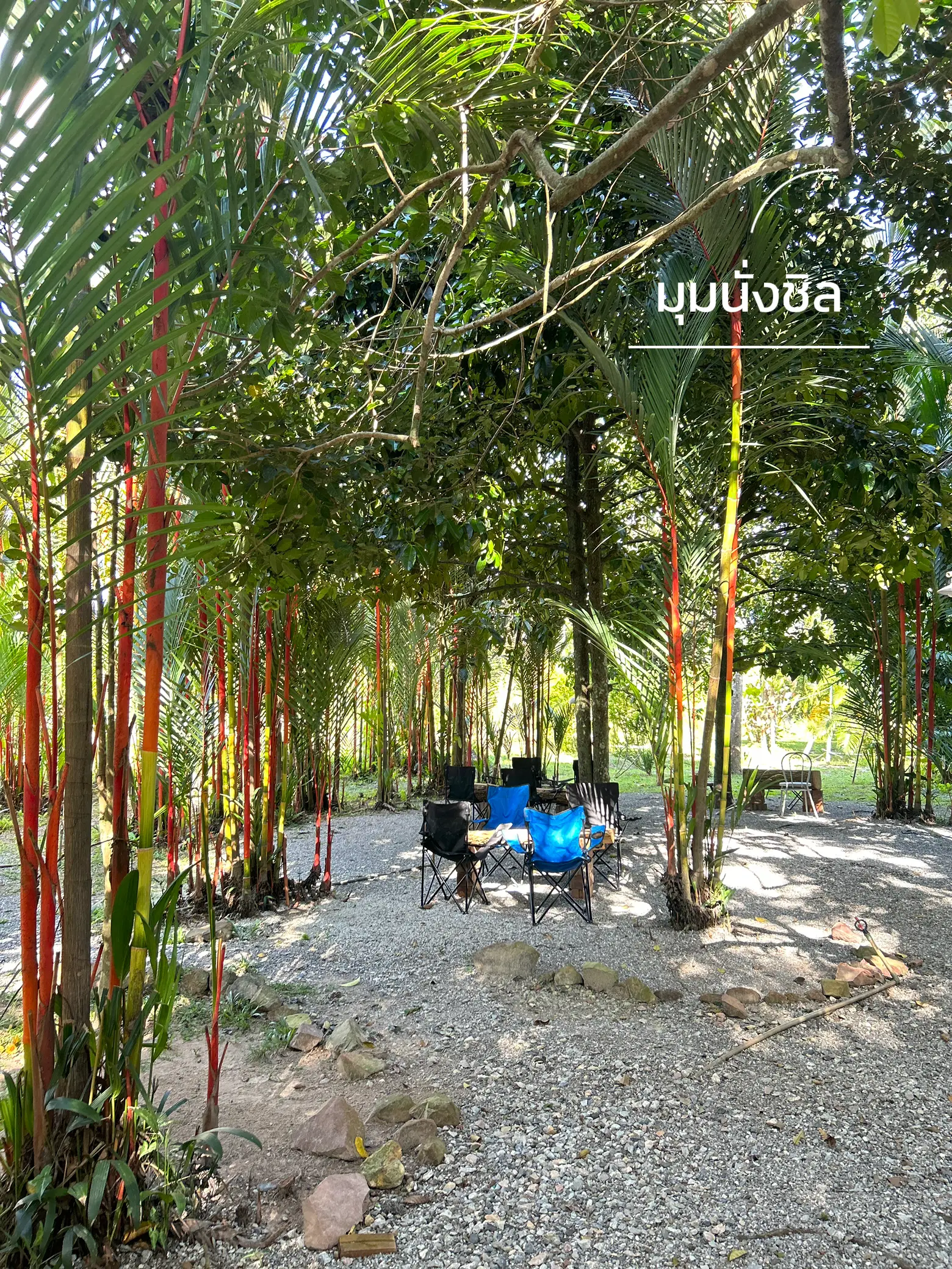 Bake and more Cafe Rayong | แกลเลอรีที่โพสต์โดย NooNoey | Lemon8