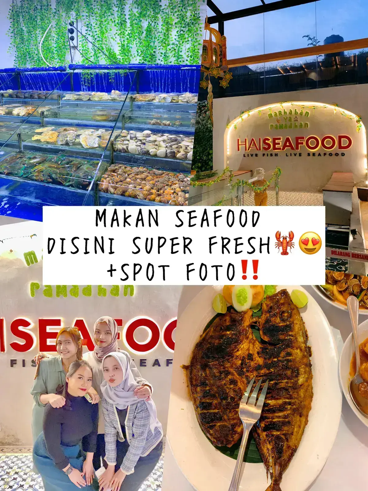 MAKAN SEAFOOD DISINI SUPER FRESH🦞😍+SPOT FOTO‼️ | Galeri diposting oleh ...