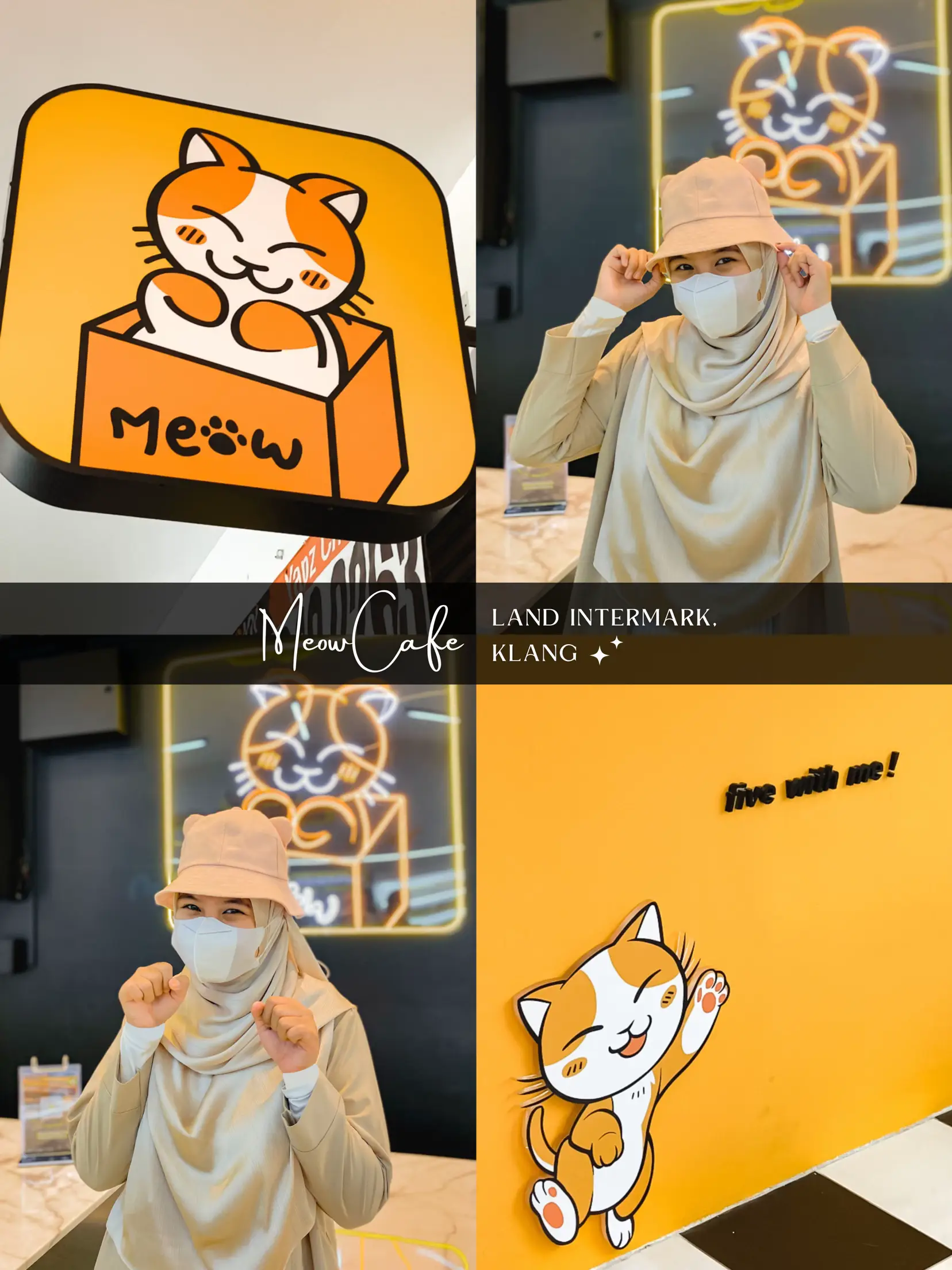 Meow Cafe, Meow Me 😽 | แกลเลอรีที่โพสต์โดย qistienaabas | Lemon8