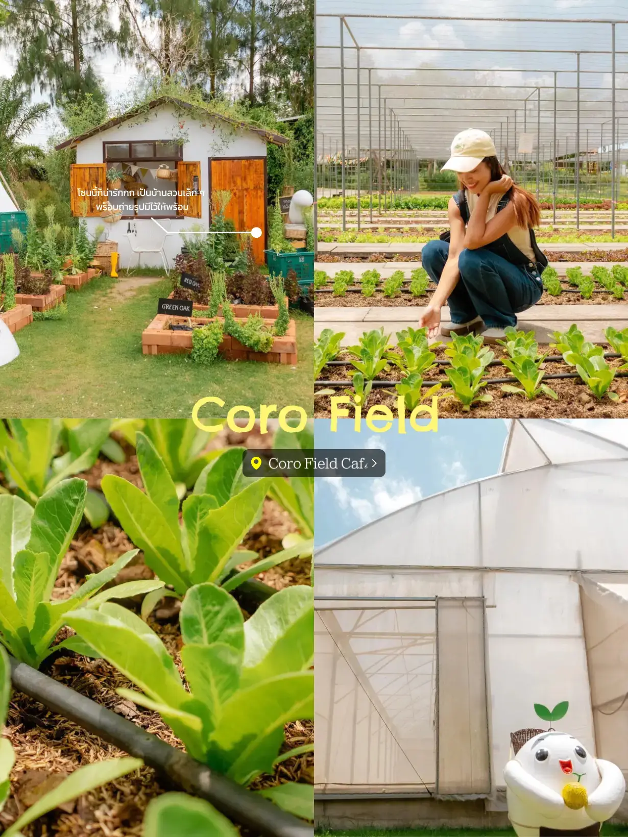 Route 7 ที่เที่ยว สวนผึ้ง #ราชบุรี ที่วันหยุดนี้ต้องมา! | แกลเลอรีที่ ...