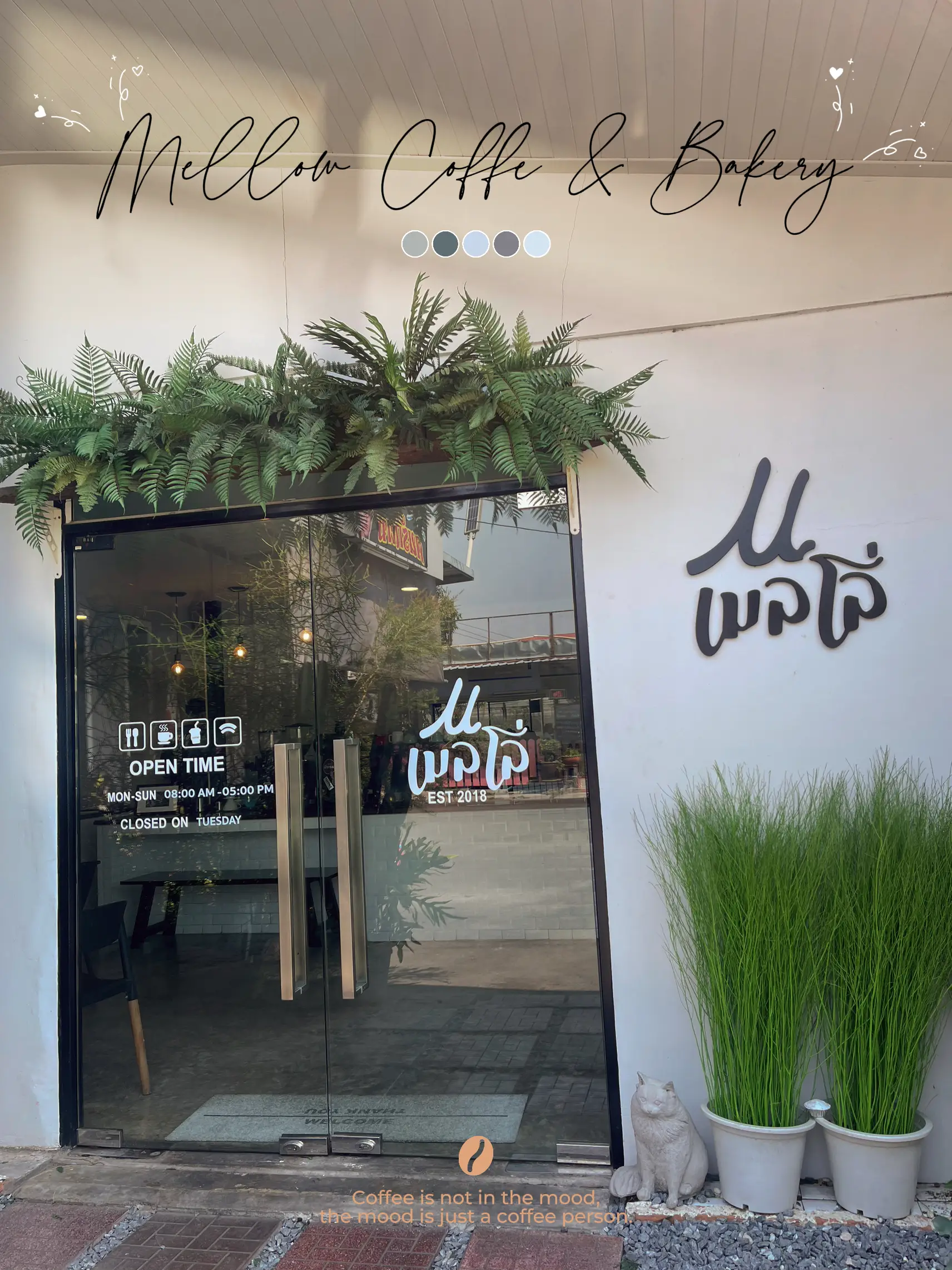 ร้านกาแฟแถวสาย 3 - การค้นหาใน Lemon8