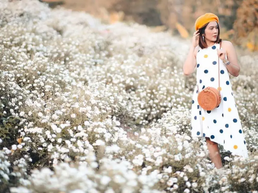 เก็ฮวบถ้วยใหญ่ๆแช่เอาไว้อยู่ในตู้เย็น!! | แกลเลอรีที่โพสต์โดย Ople Apple | Lemon8