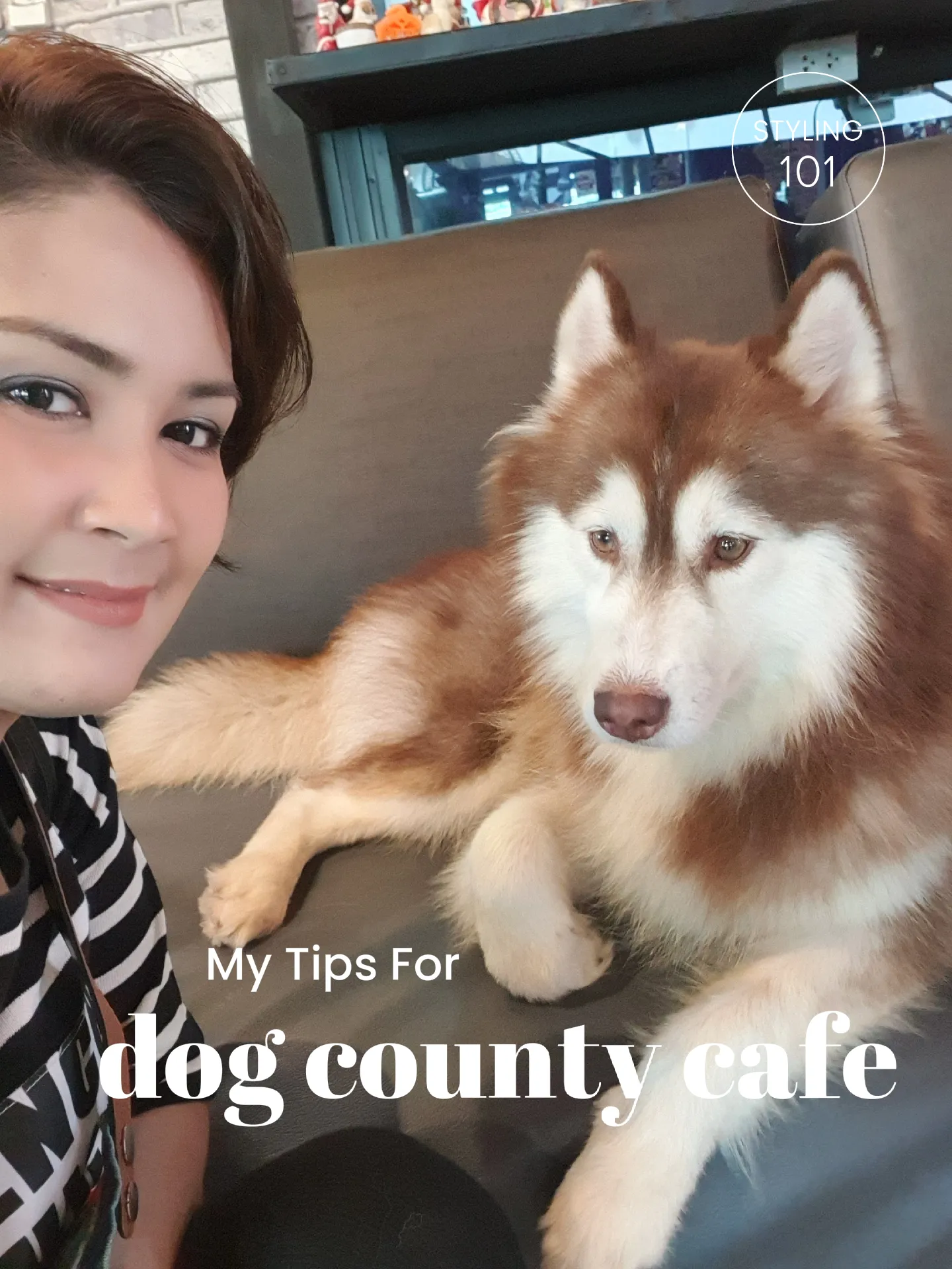 My Tips For | แกลเลอรีที่โพสต์โดย madam.soji | Lemon8