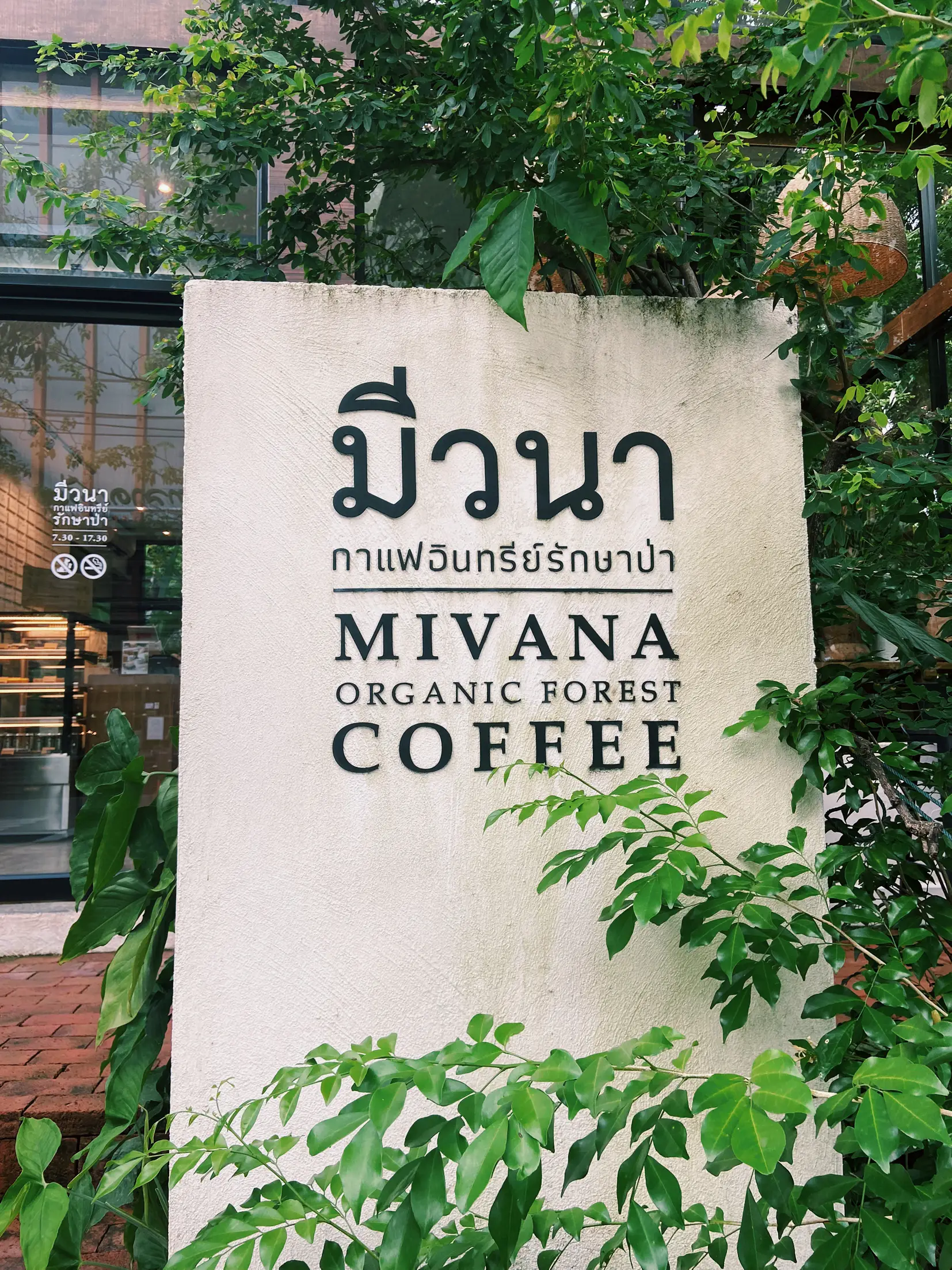 📍Mivana organic forest coffeeร้านกาแฟย่านศรีนครินทร์ | แกลเลอรีที่โพสต์ ...